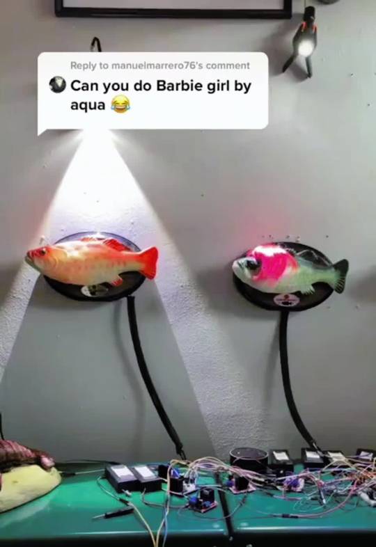 Barbie Fish | Scrolller