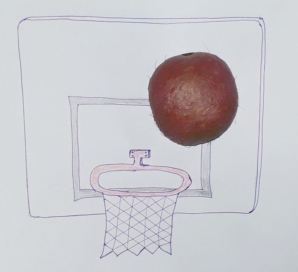 Basketball | Scrolller