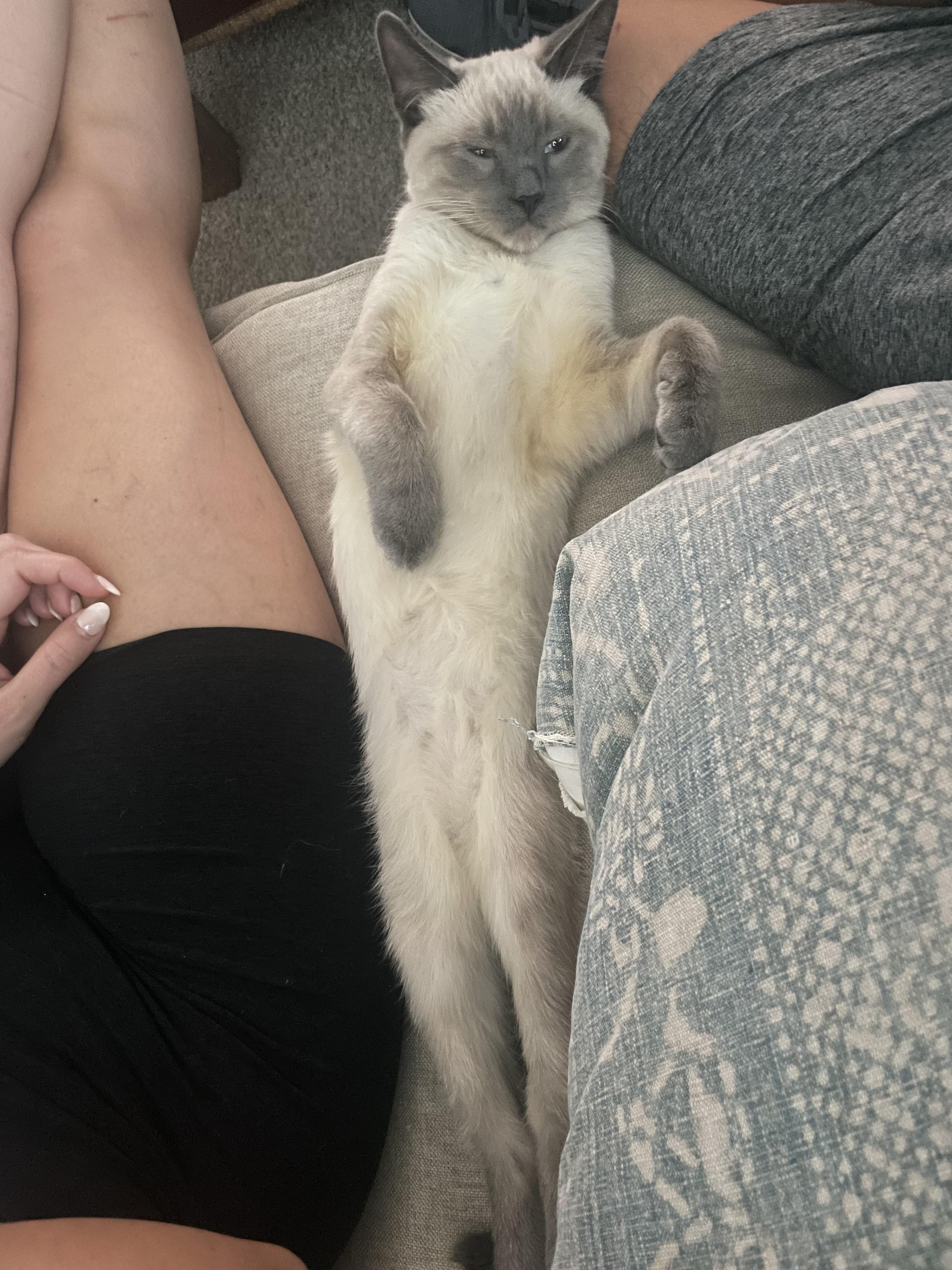 Bean activated long mode | Scrolller