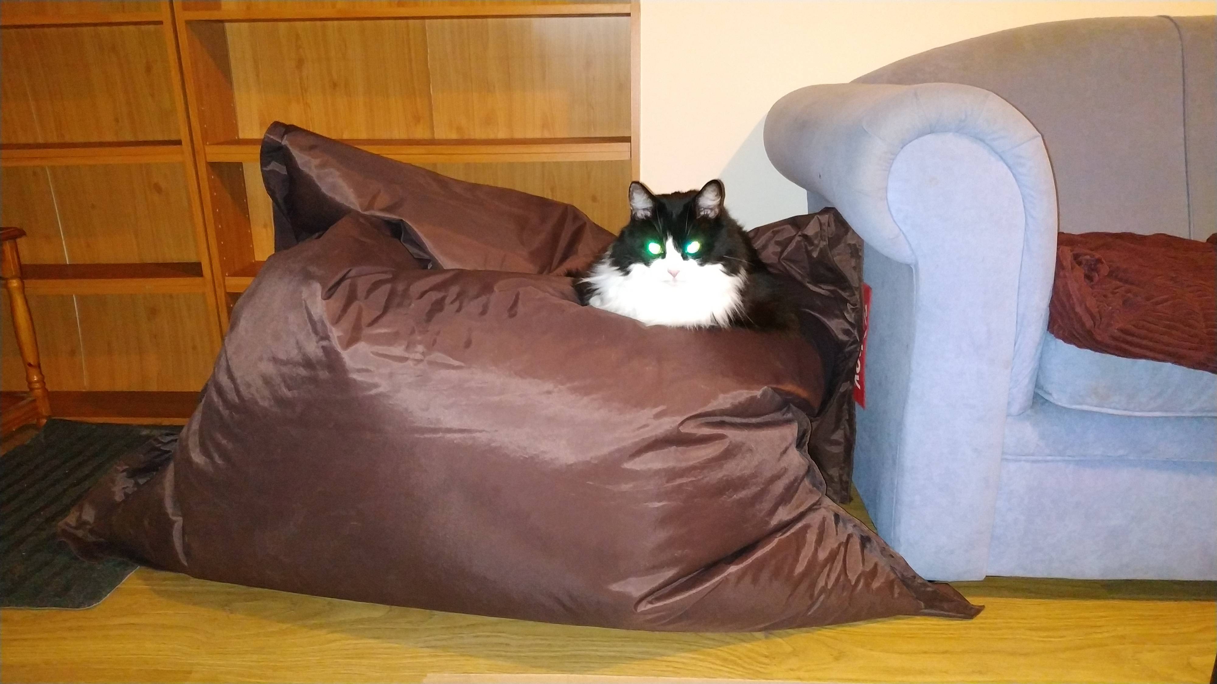 Beanbag Laser Turret | Scrolller