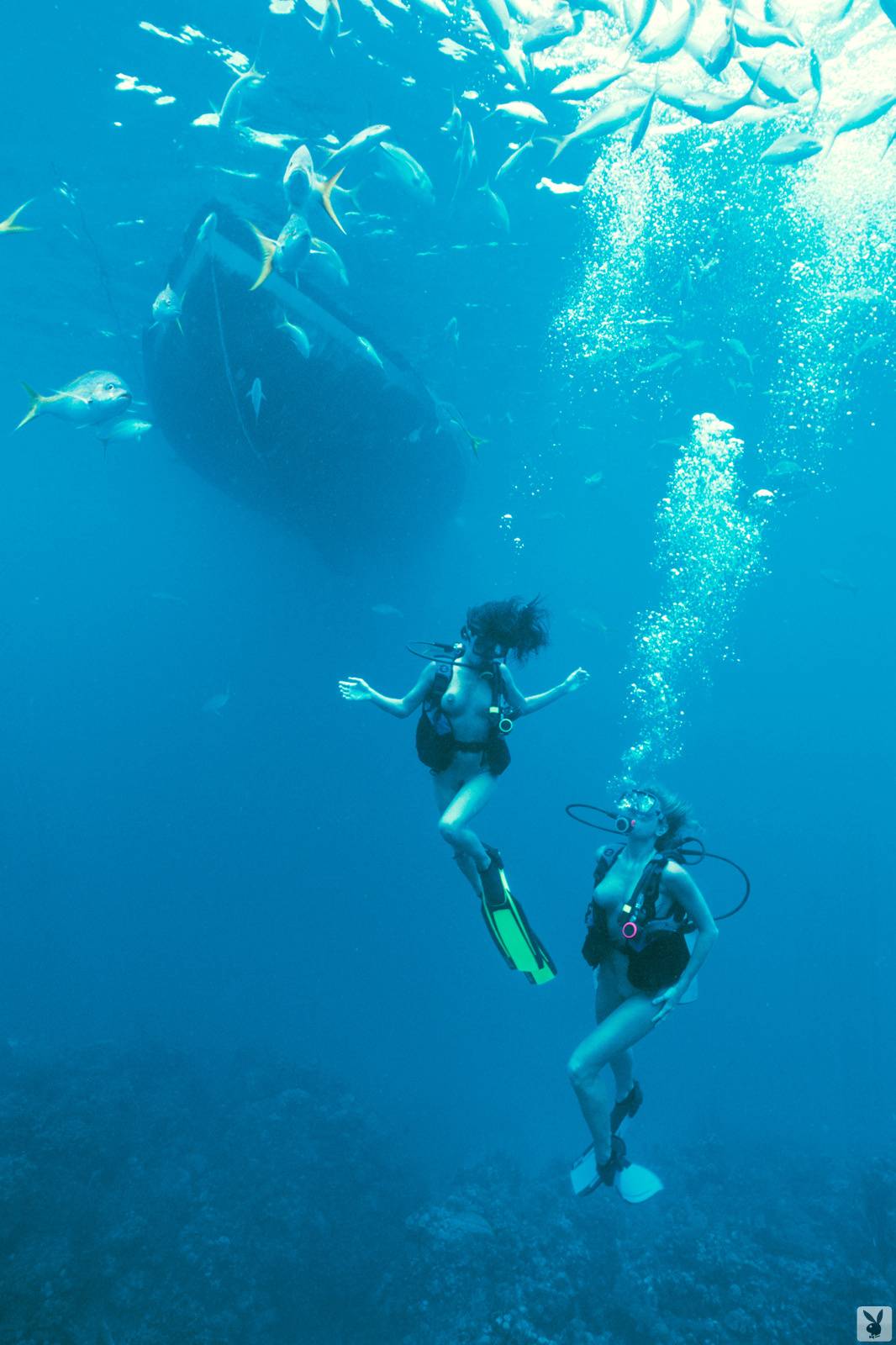 Beauties of the Deep | Scrolller