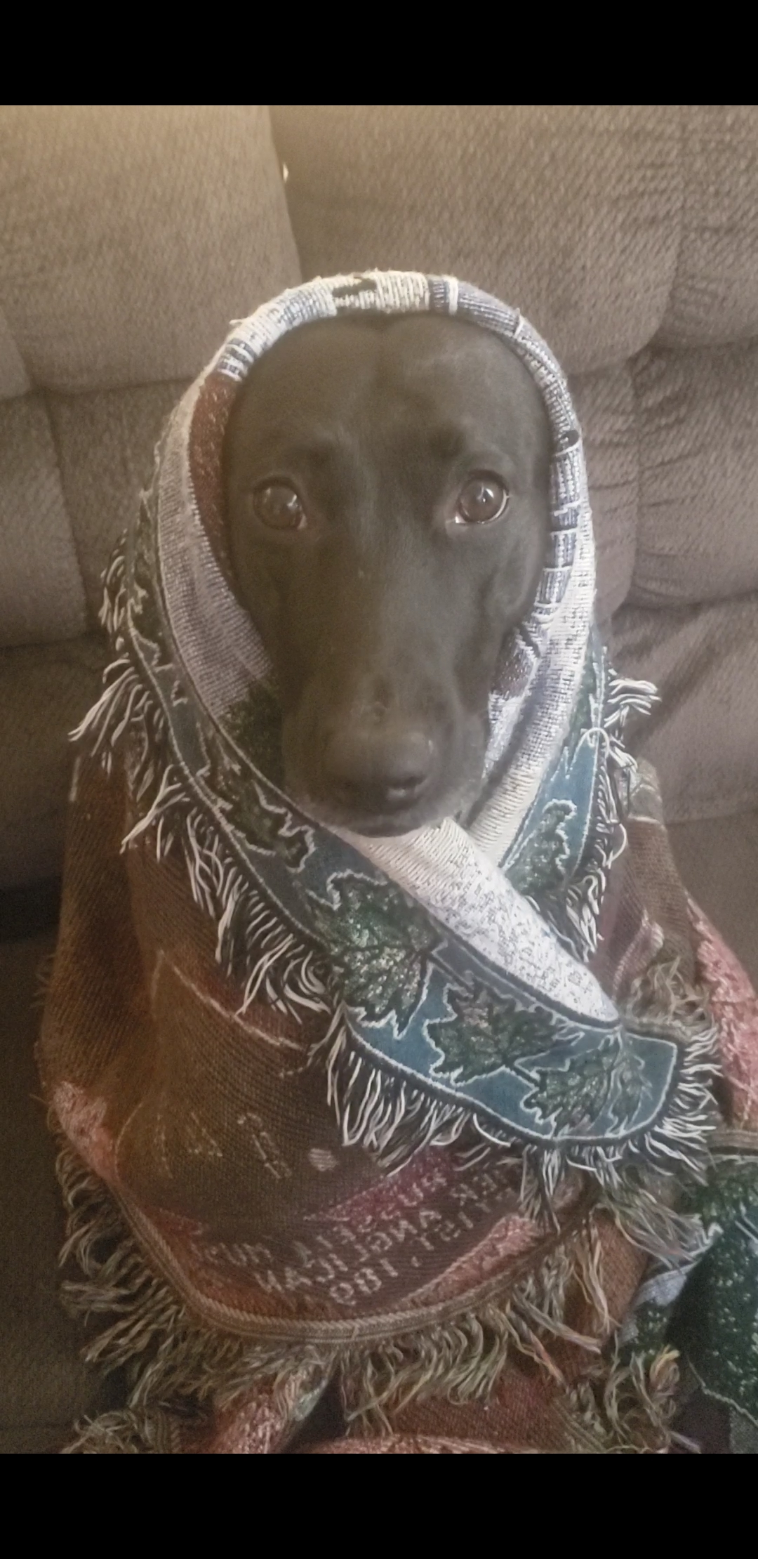 Beautiful Babushka Rescue | Scrolller