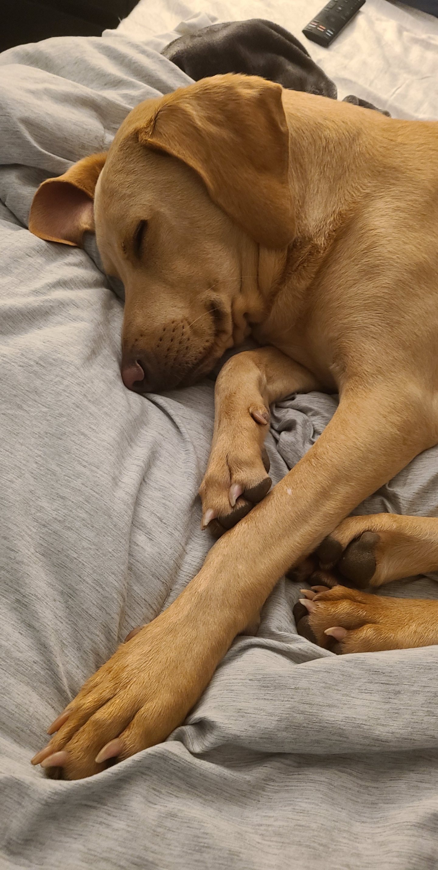 Bender smiles in his sleep and it makes my heart so warm! ️ | Scrolller