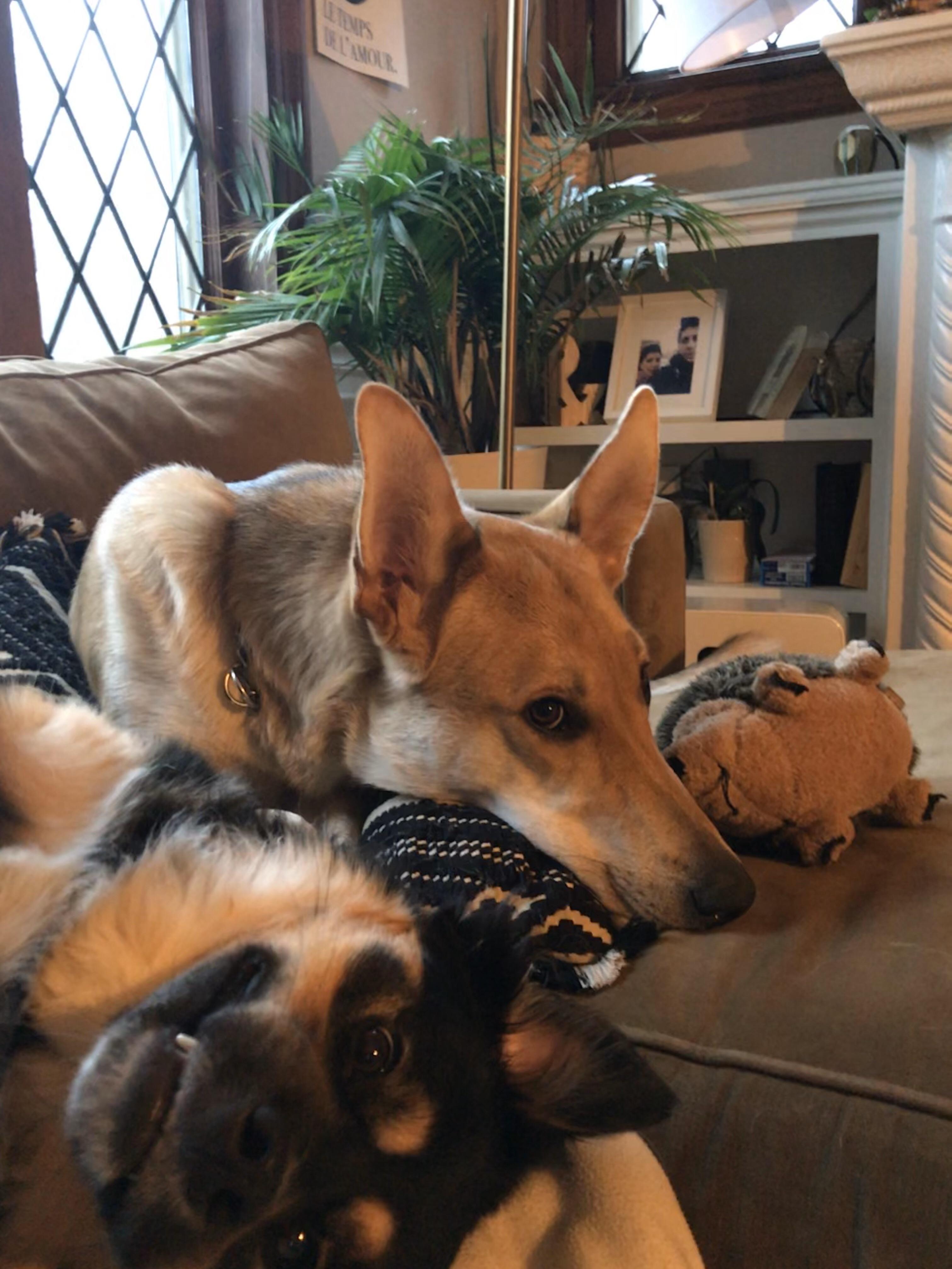 Best bros | Scrolller