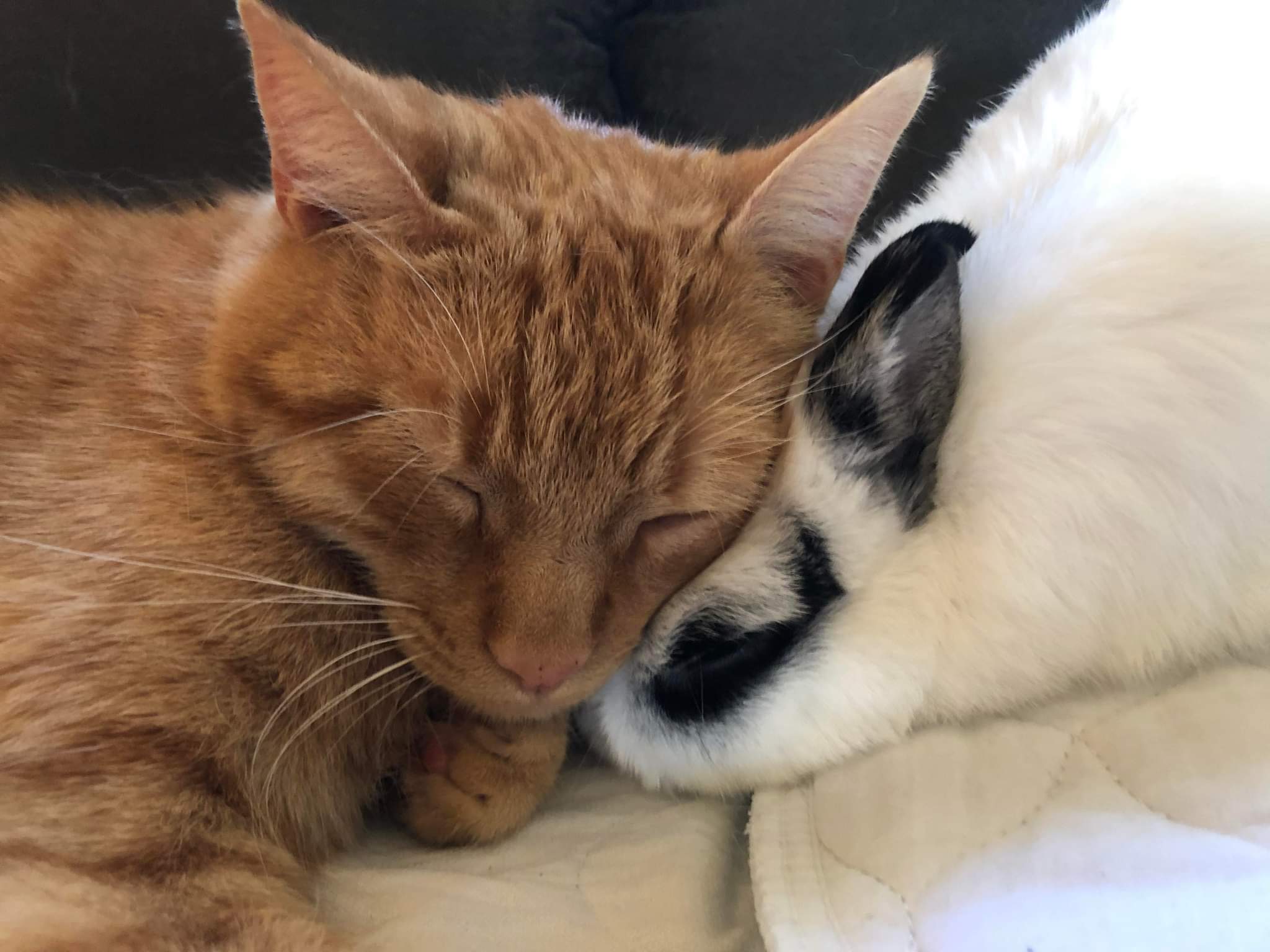 Big Brother | Scrolller