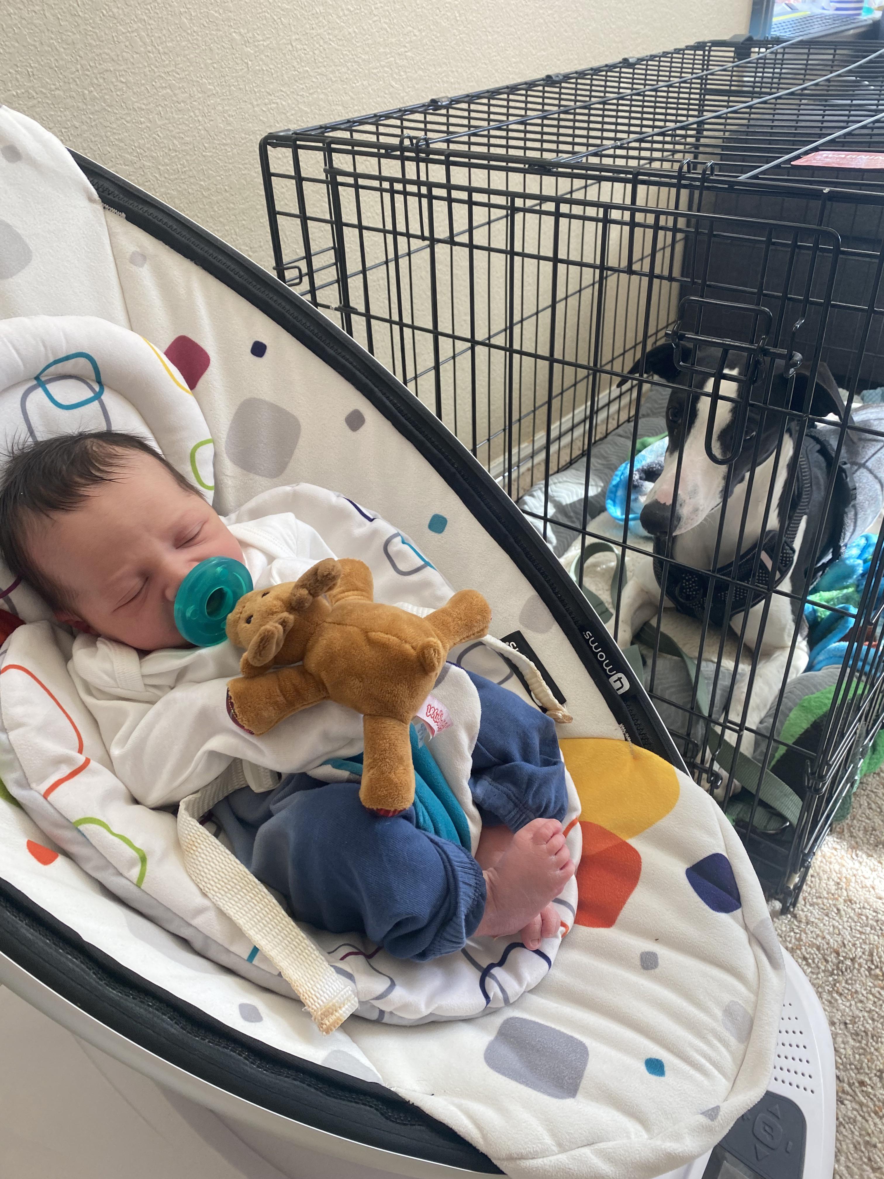 Big brother Twister wants to play | Scrolller