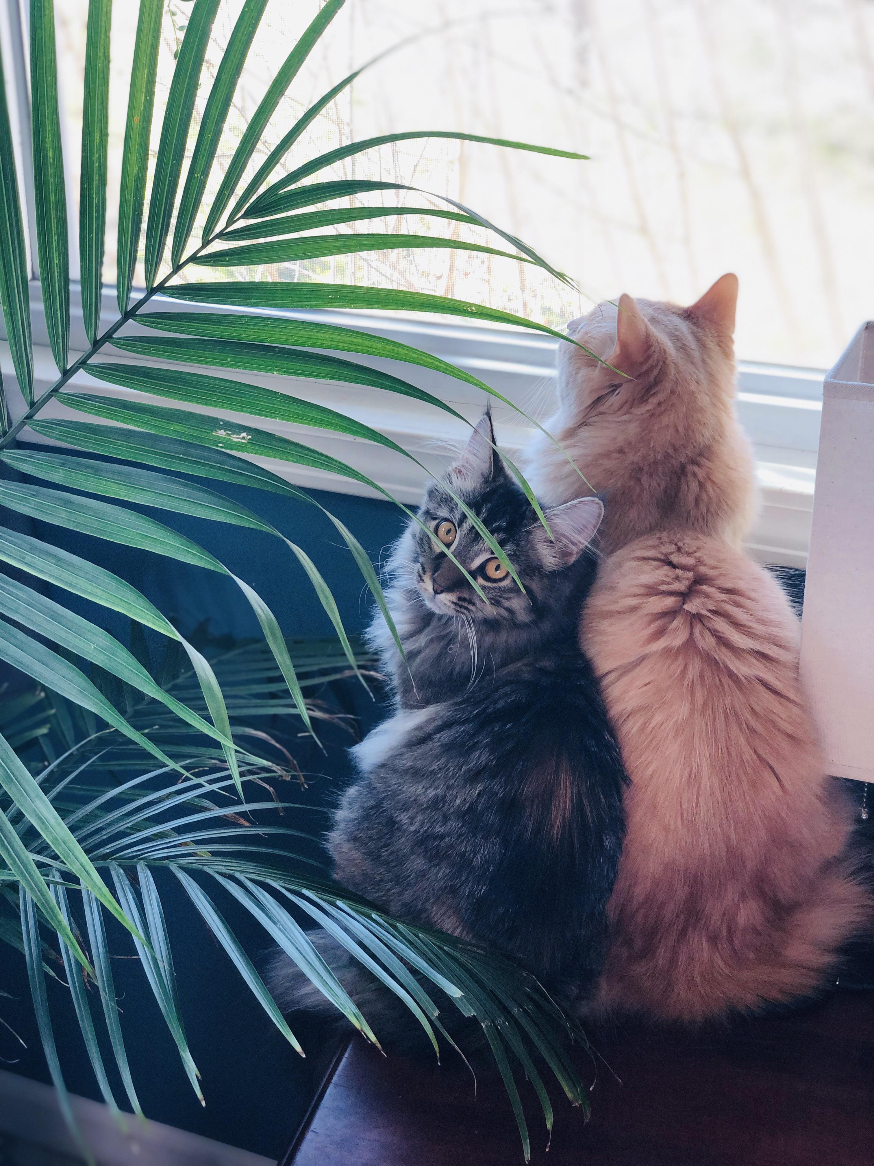 Bird watching | Scrolller