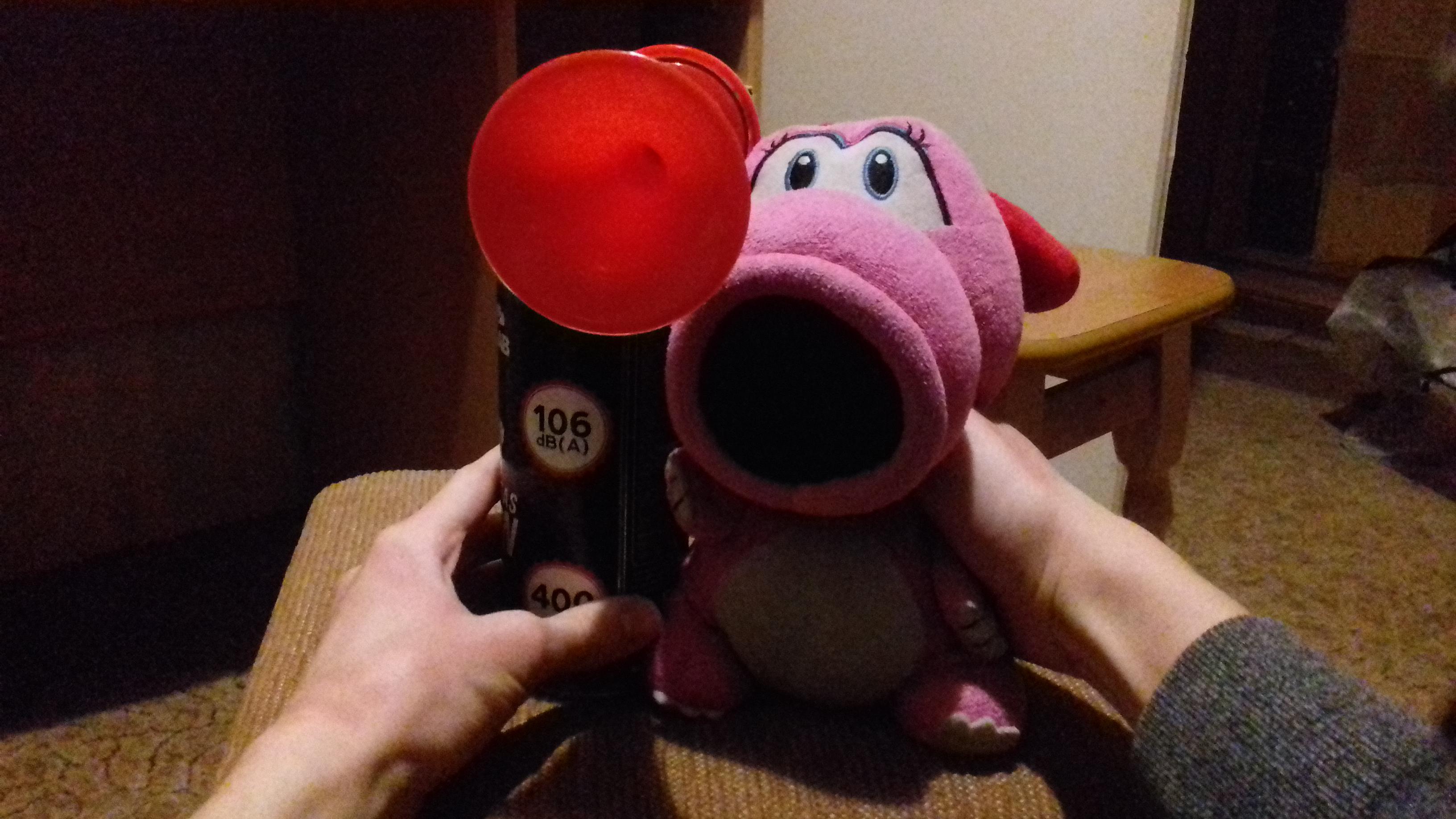 Birdo and the airhorn | Scrolller
