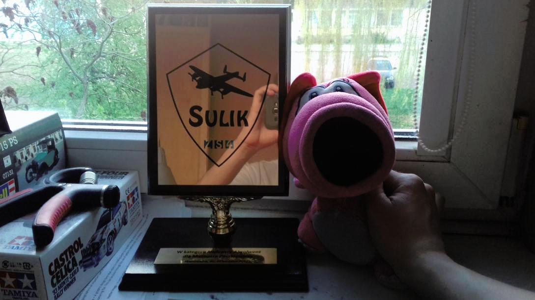 Birdo is now standing next to my trophy | Scrolller