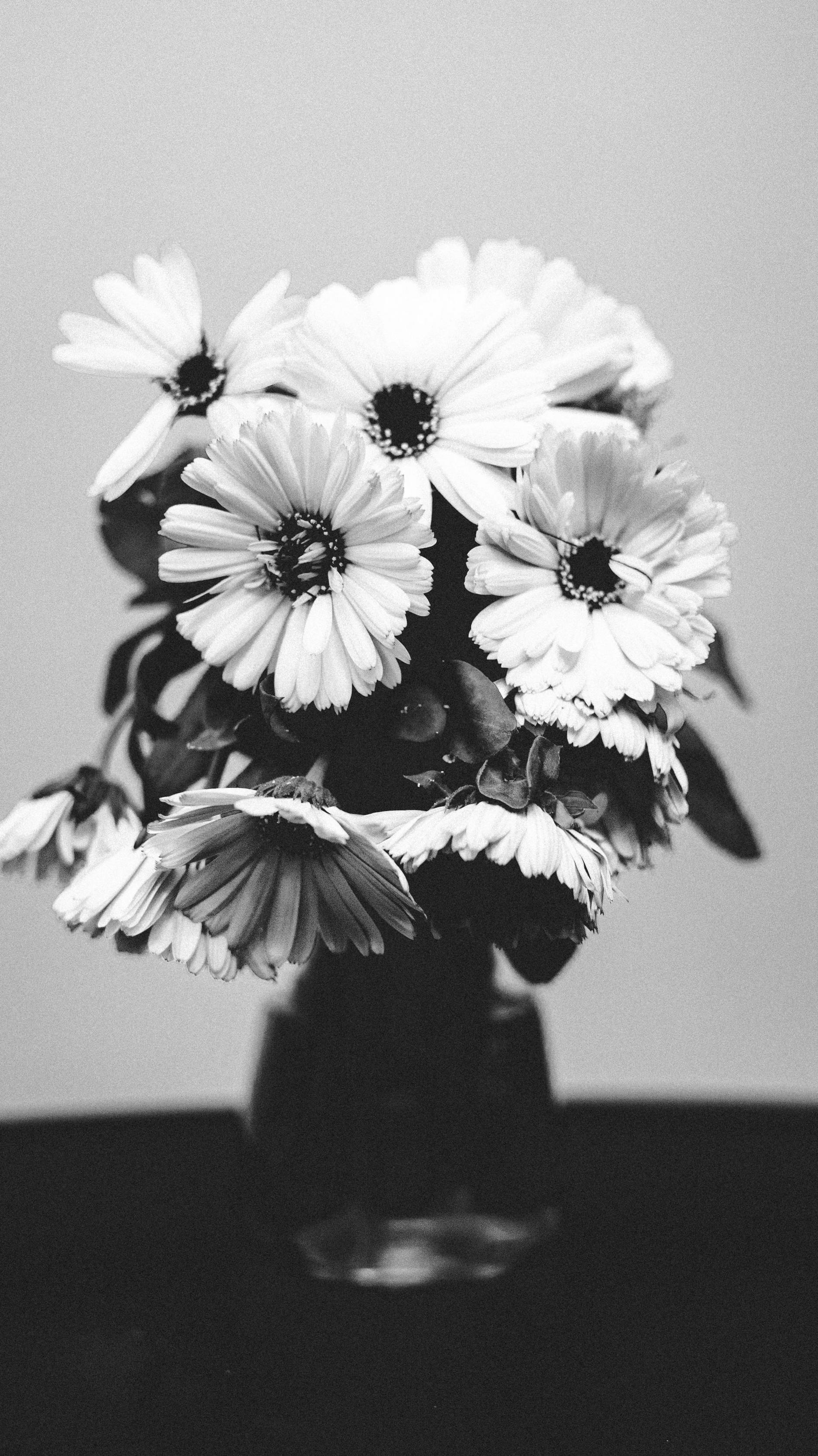 Black and white flowers | Scrolller