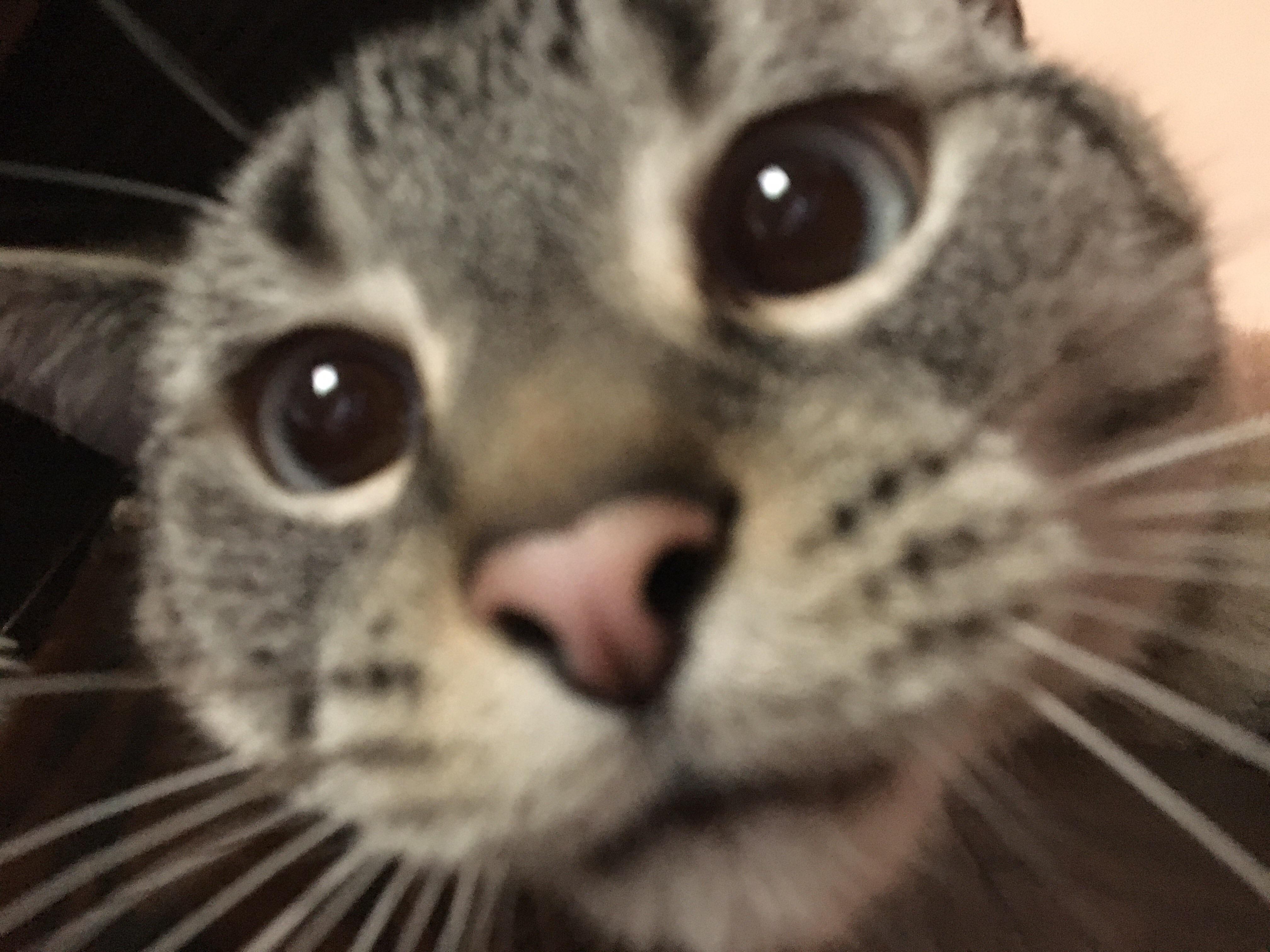 blurry peanuts for ur viewing pleasure | Scrolller