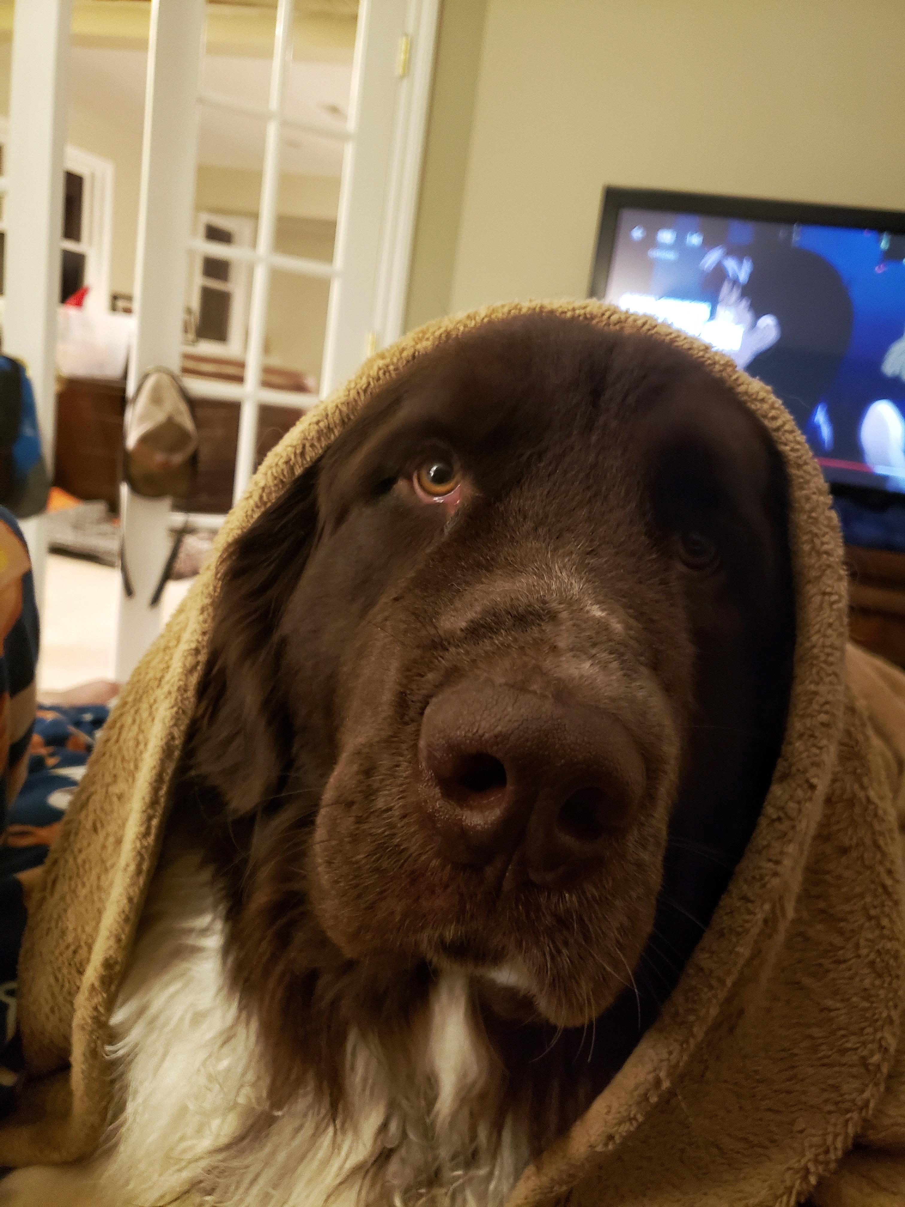 Bobby-Babushka | Scrolller