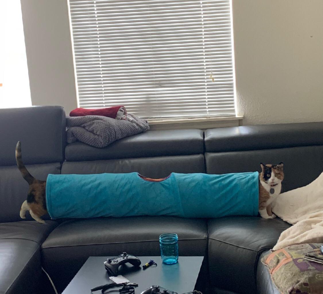 Boss fight | Scrolller