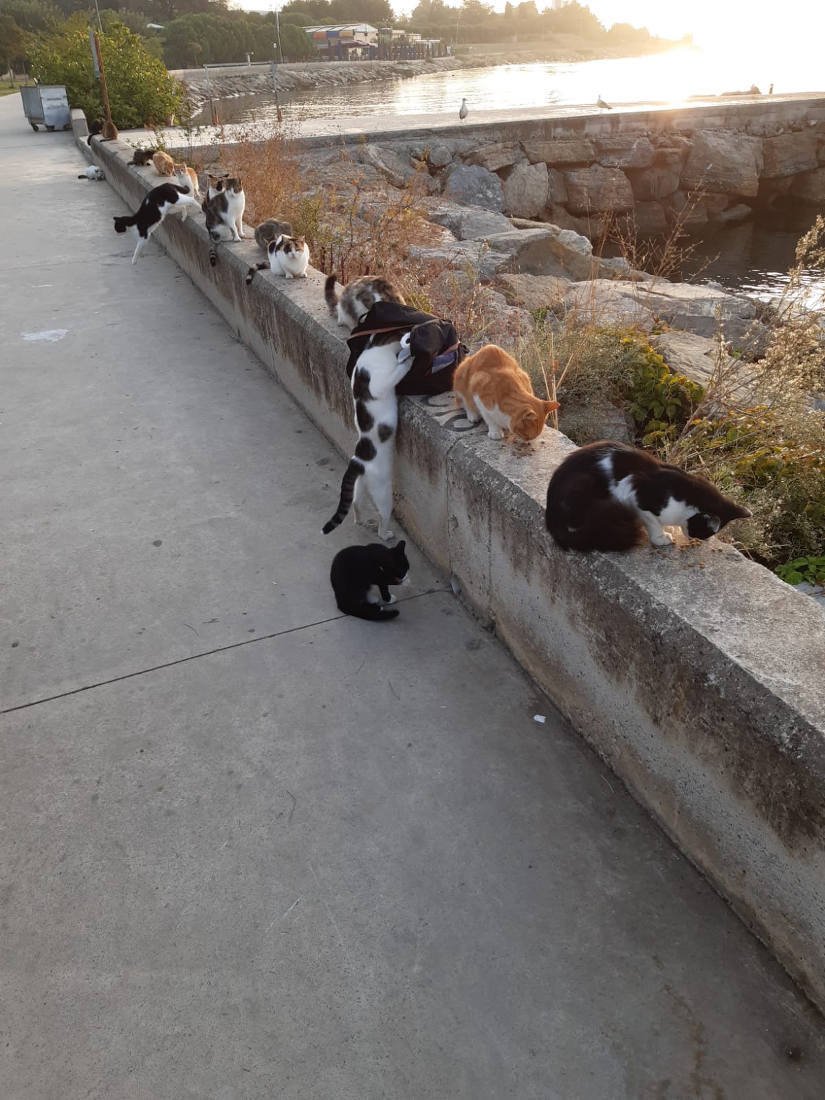 Breakfast time | Scrolller