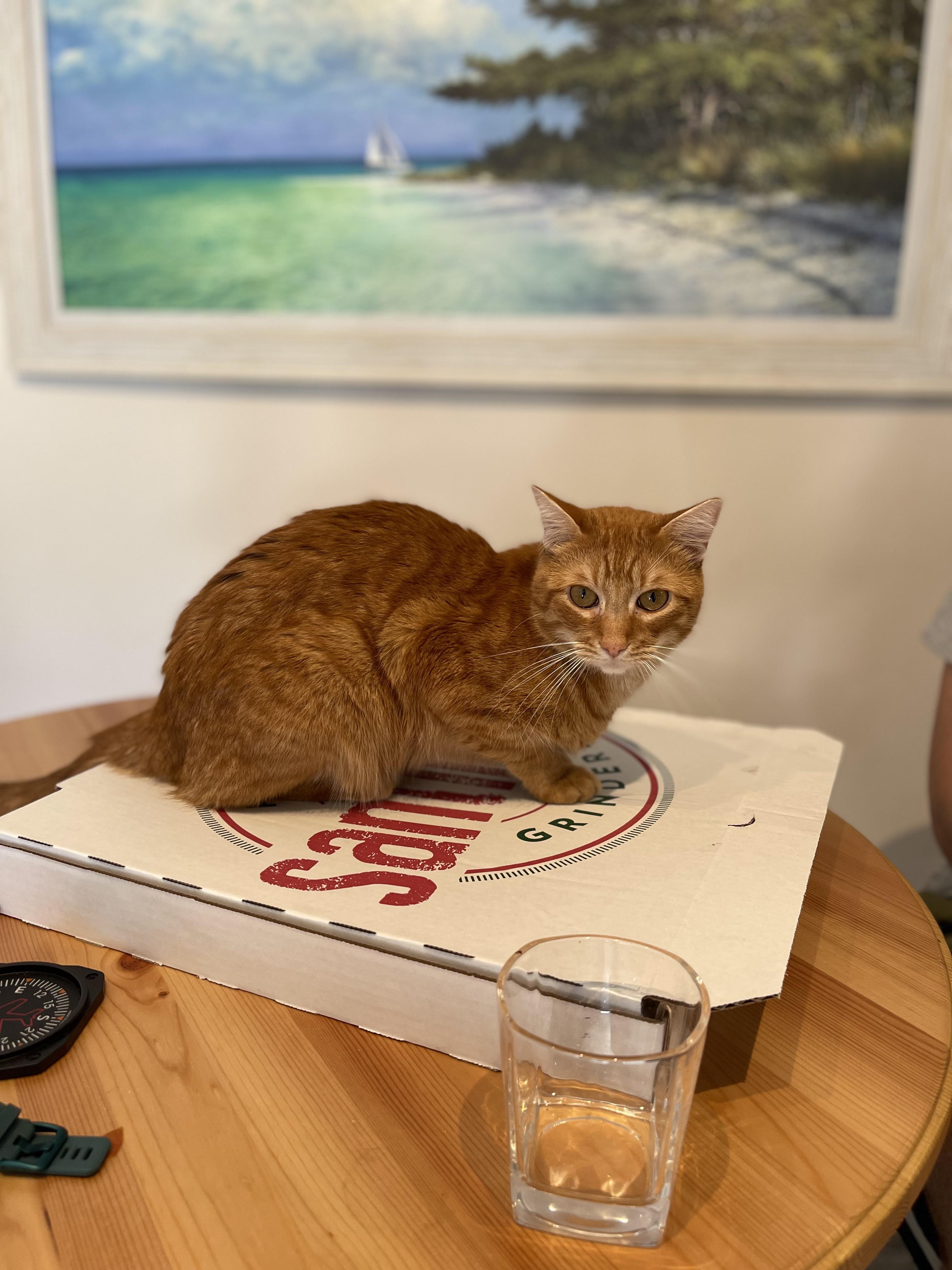 Buddy boy :) | Scrolller