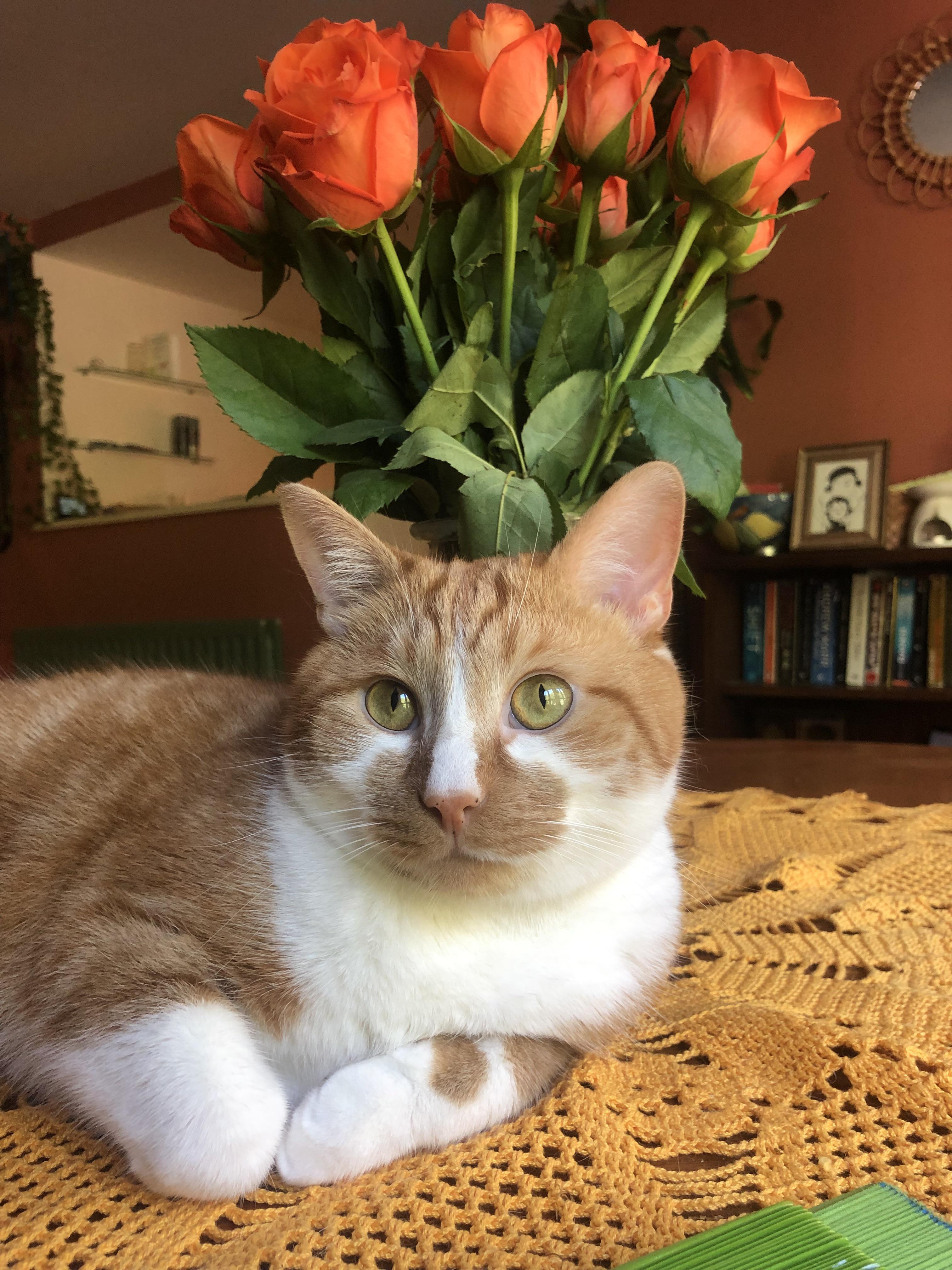 Buddy is back and his peanuts are in full bloom | Scrolller