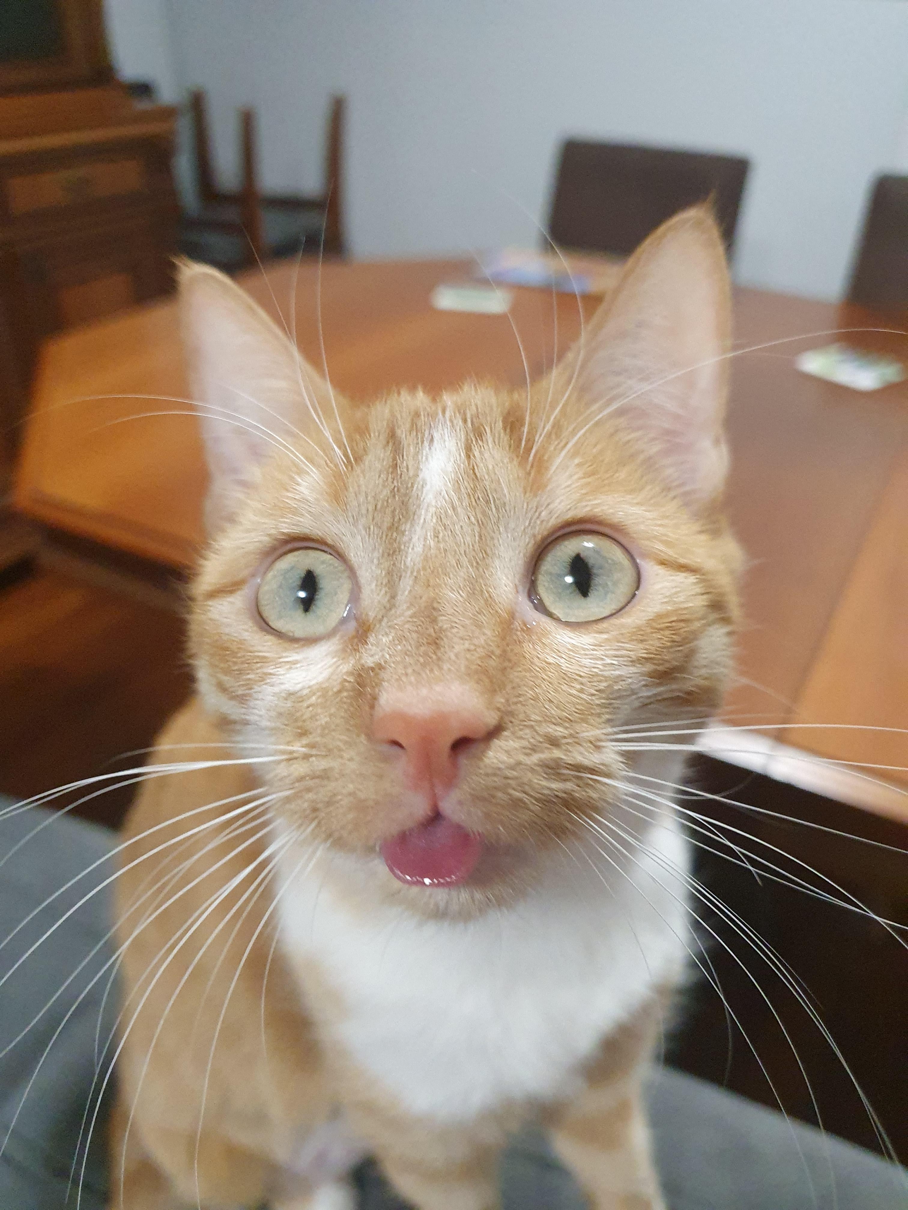 Buffering | Scrolller