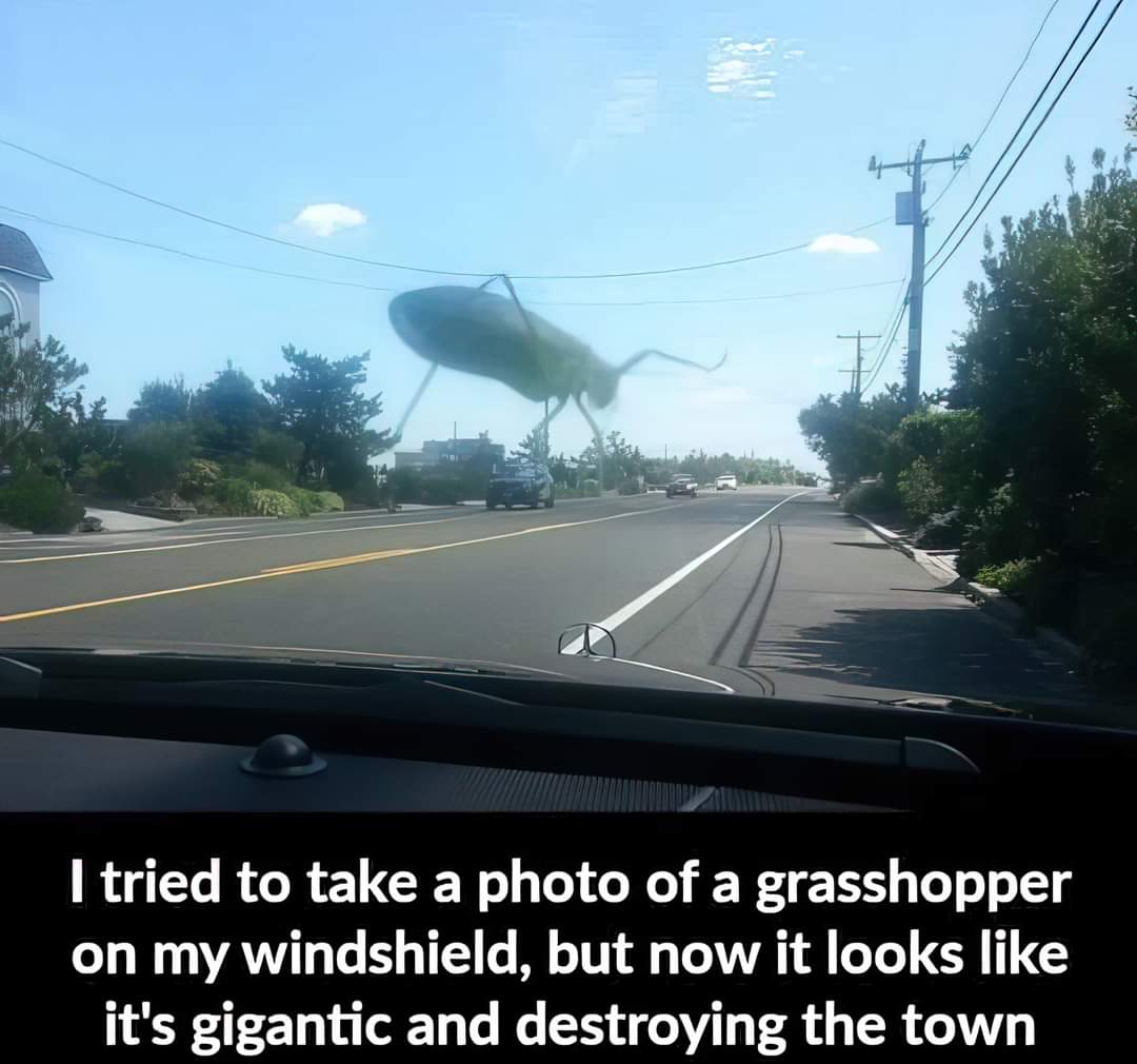 Bug's Life | Scrolller