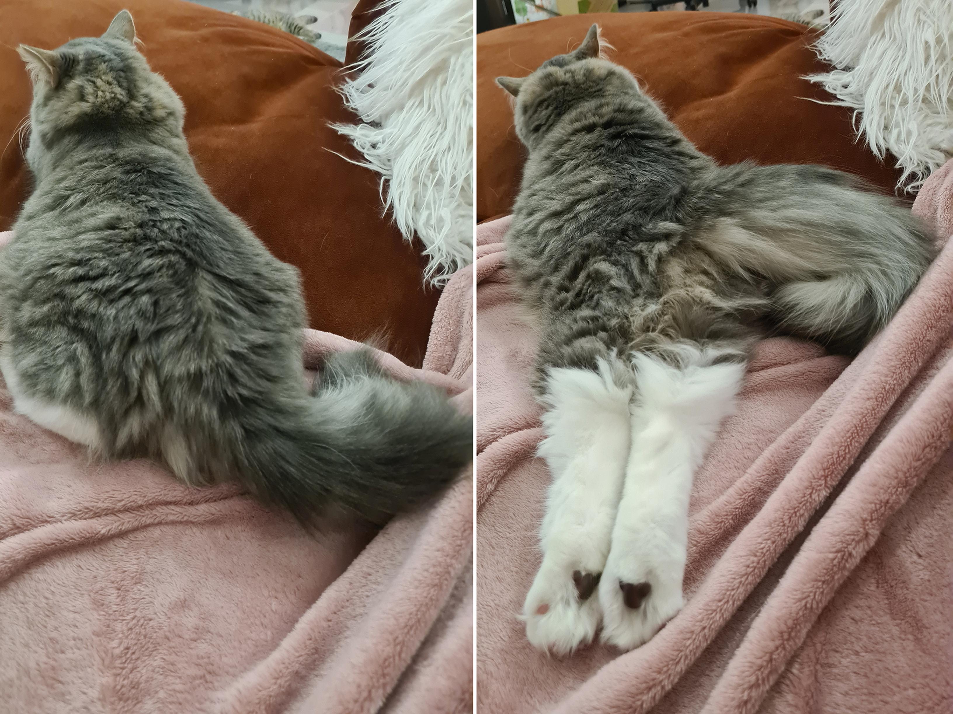 Bunny feetsies | Scrolller