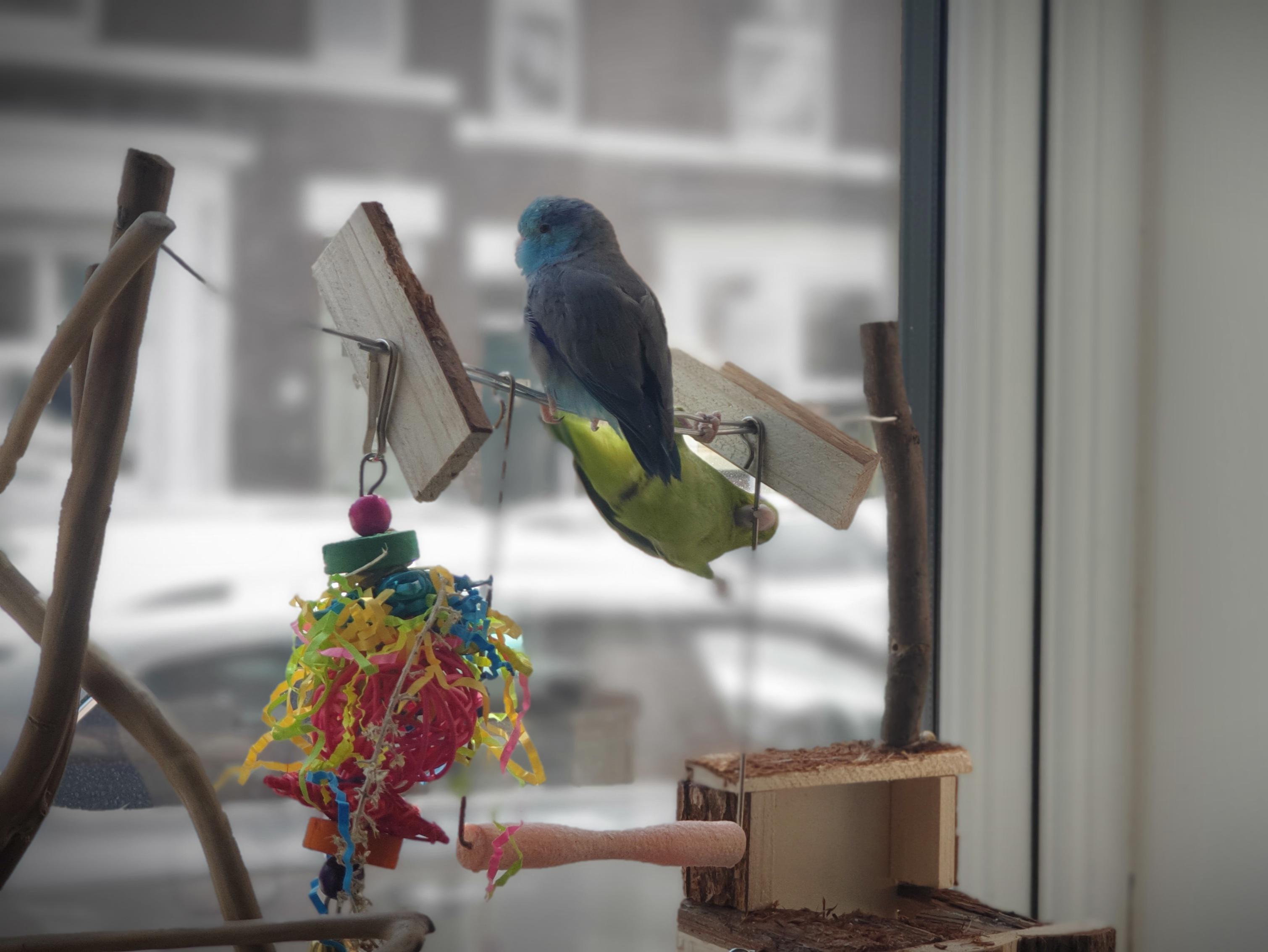 Captured their personalities perfectly! | Scrolller