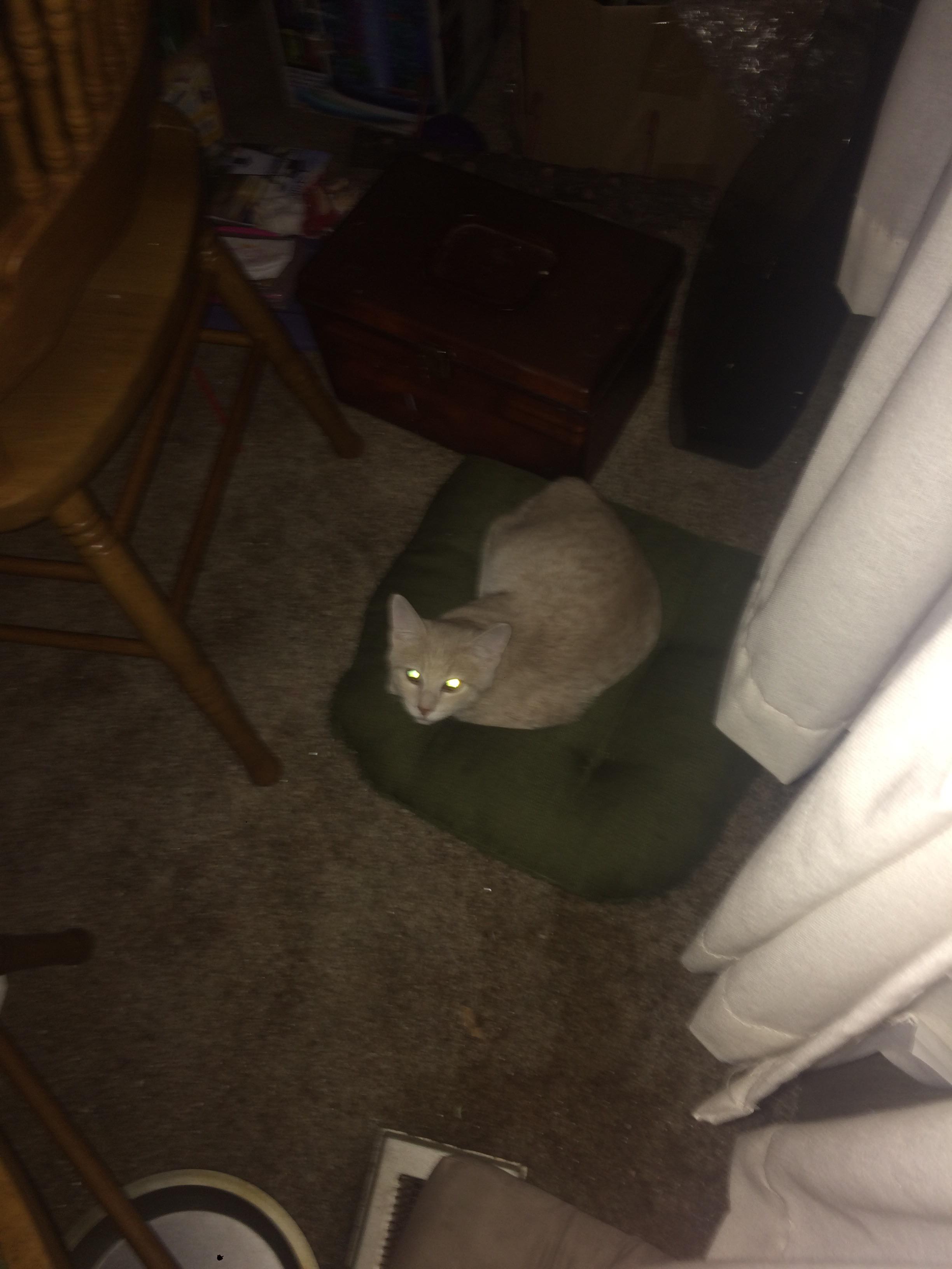 Casper using his ghost powers | Scrolller