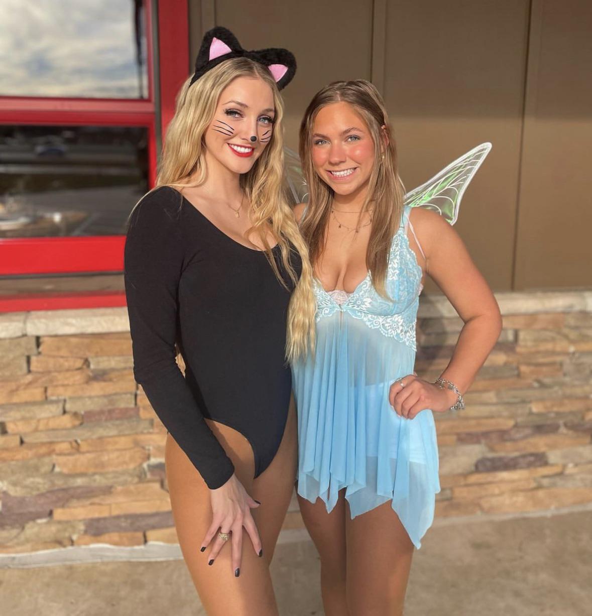 Cat Fairy | Scrolller