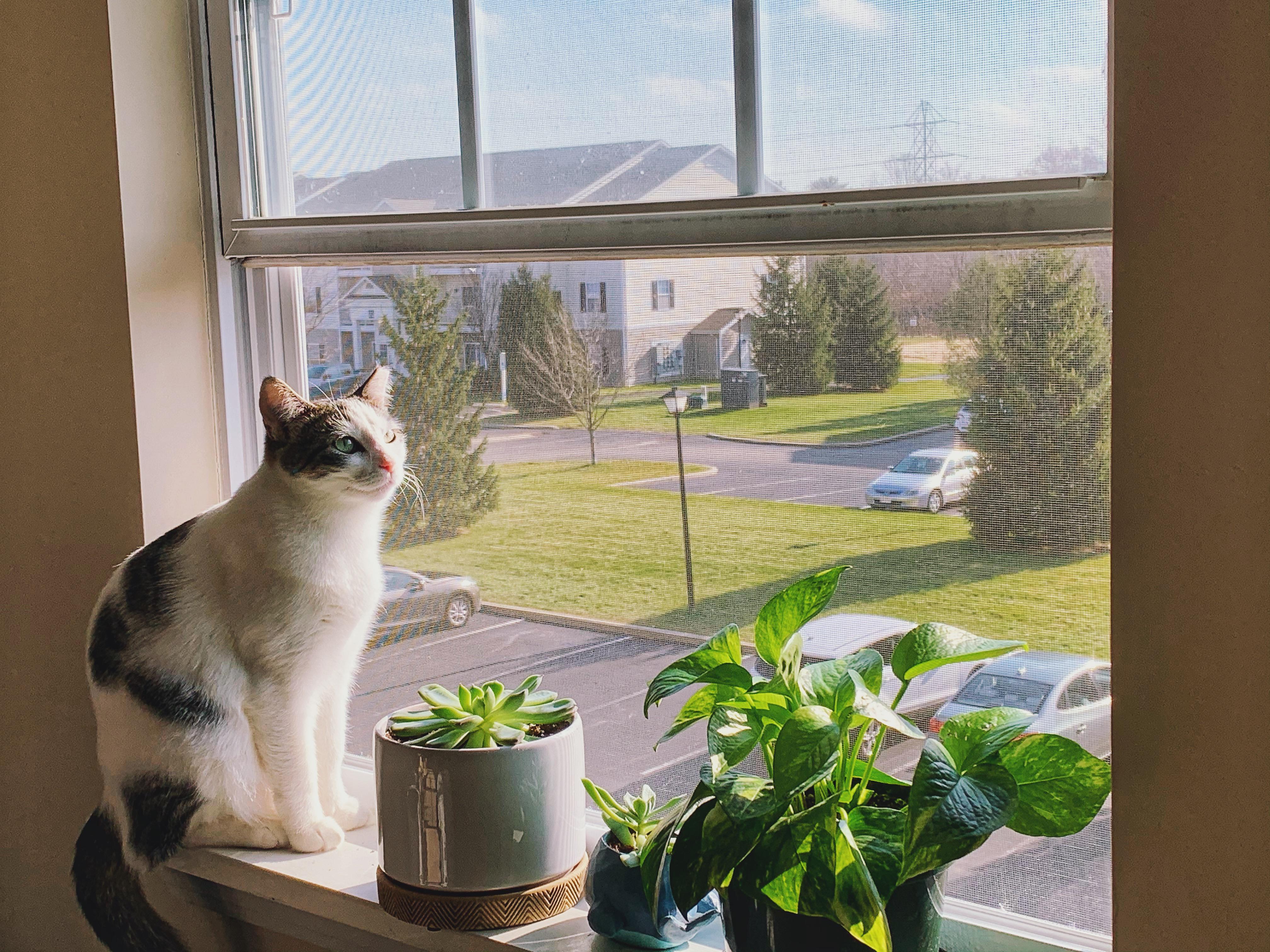 Catching rays | Scrolller