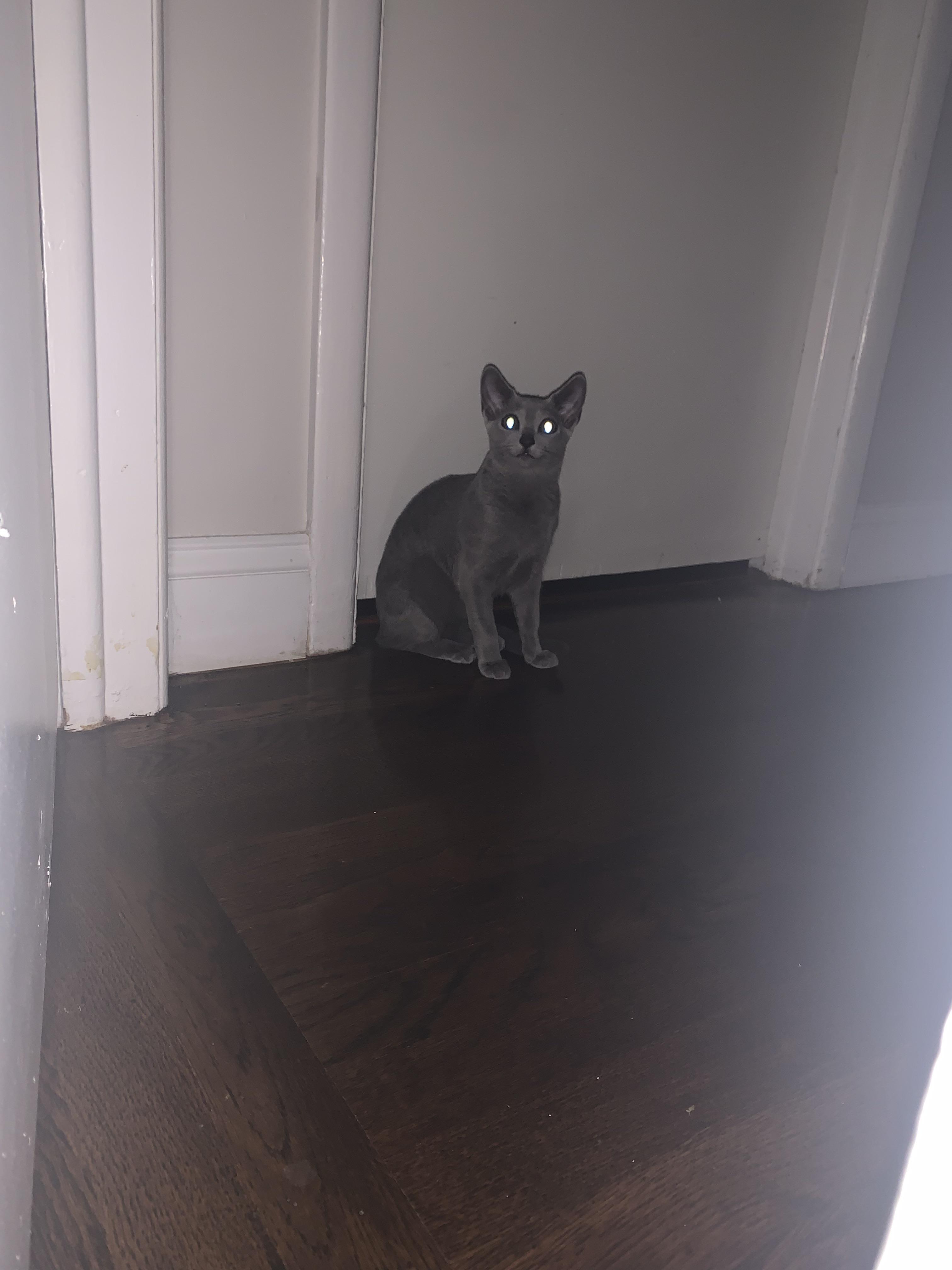 Caught her by surprise after she was lurking outside my room | Scrolller