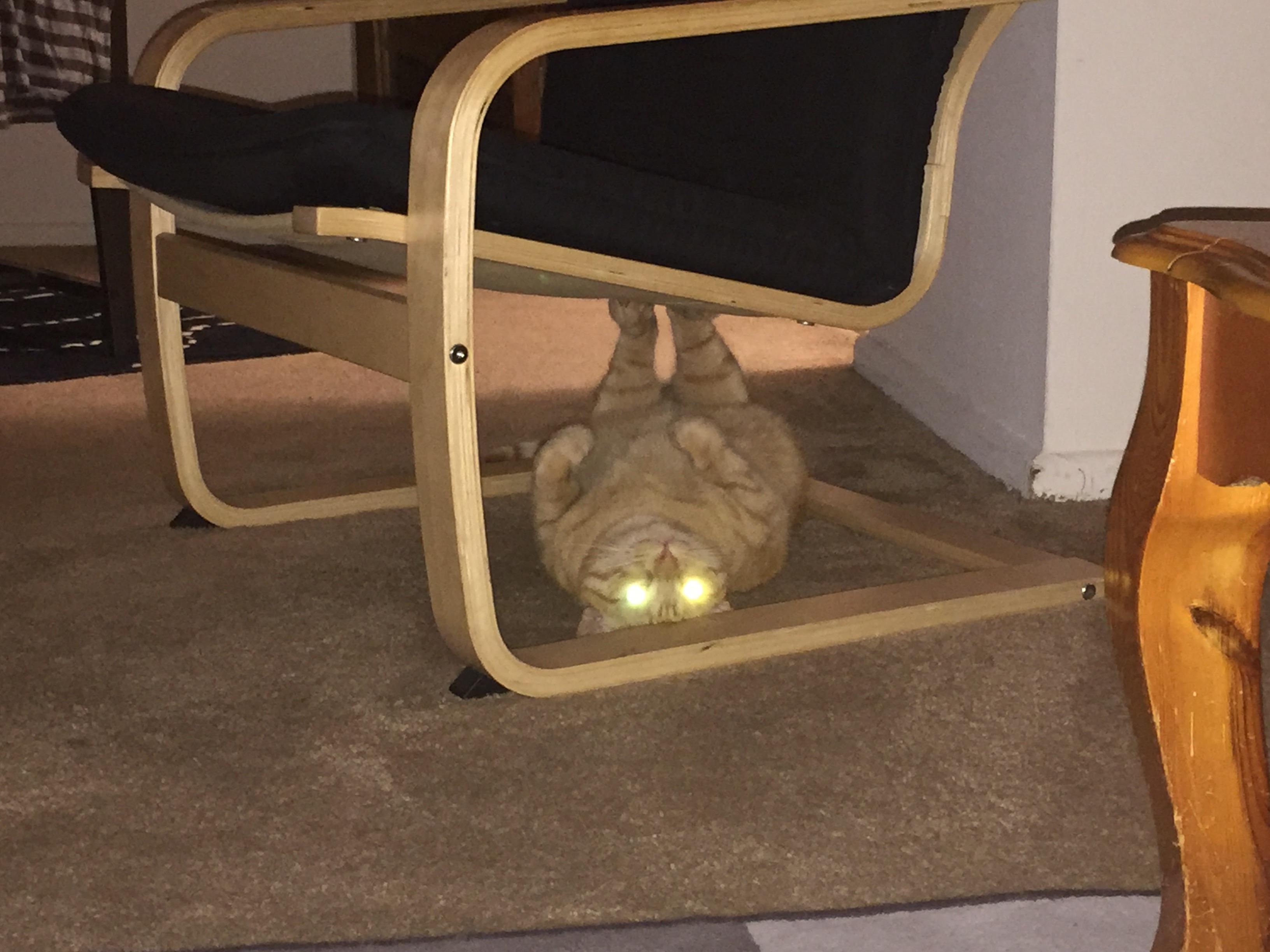 Chair Goblin Laser Beams | Scrolller