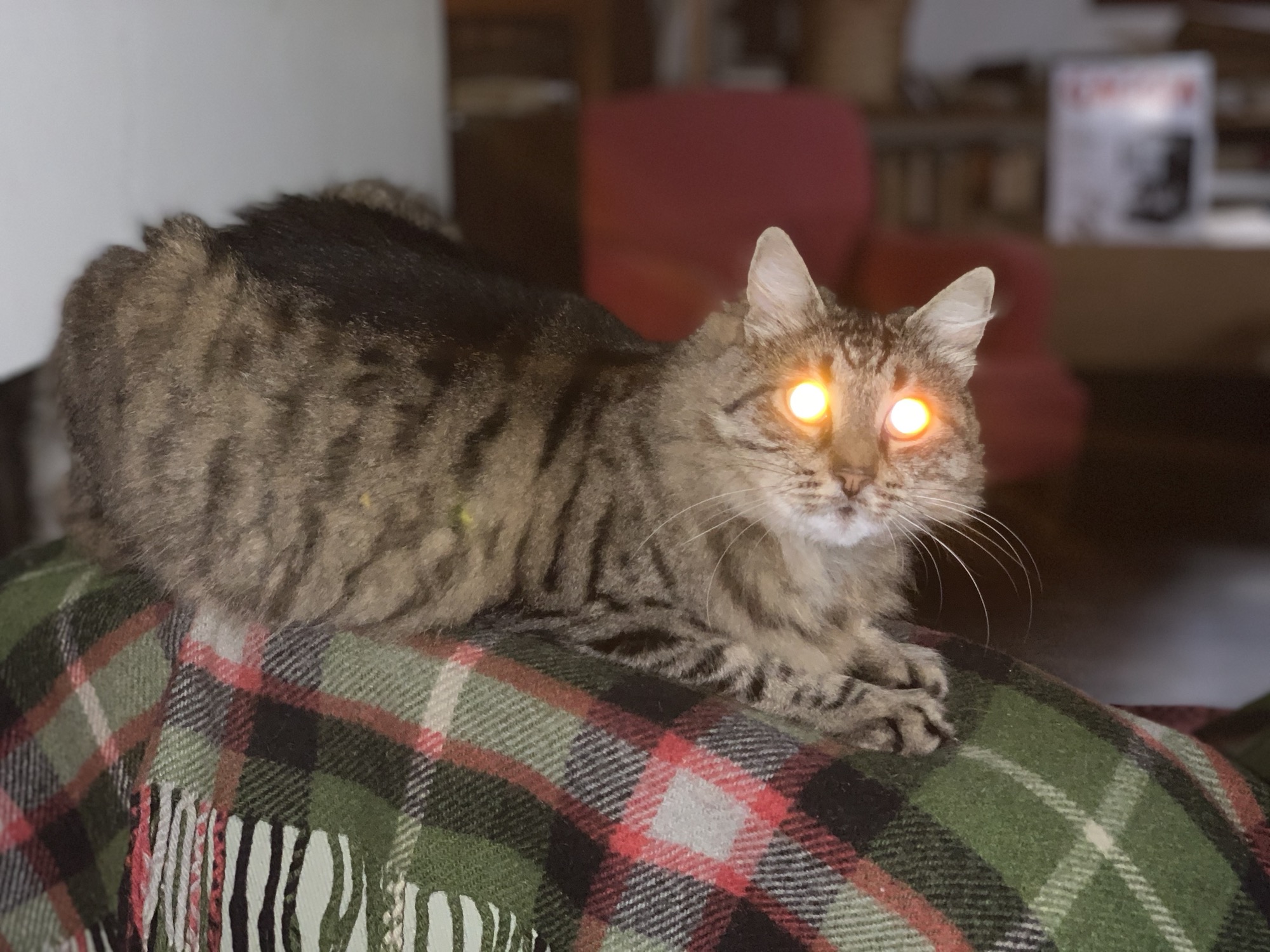 Charging... | Scrolller