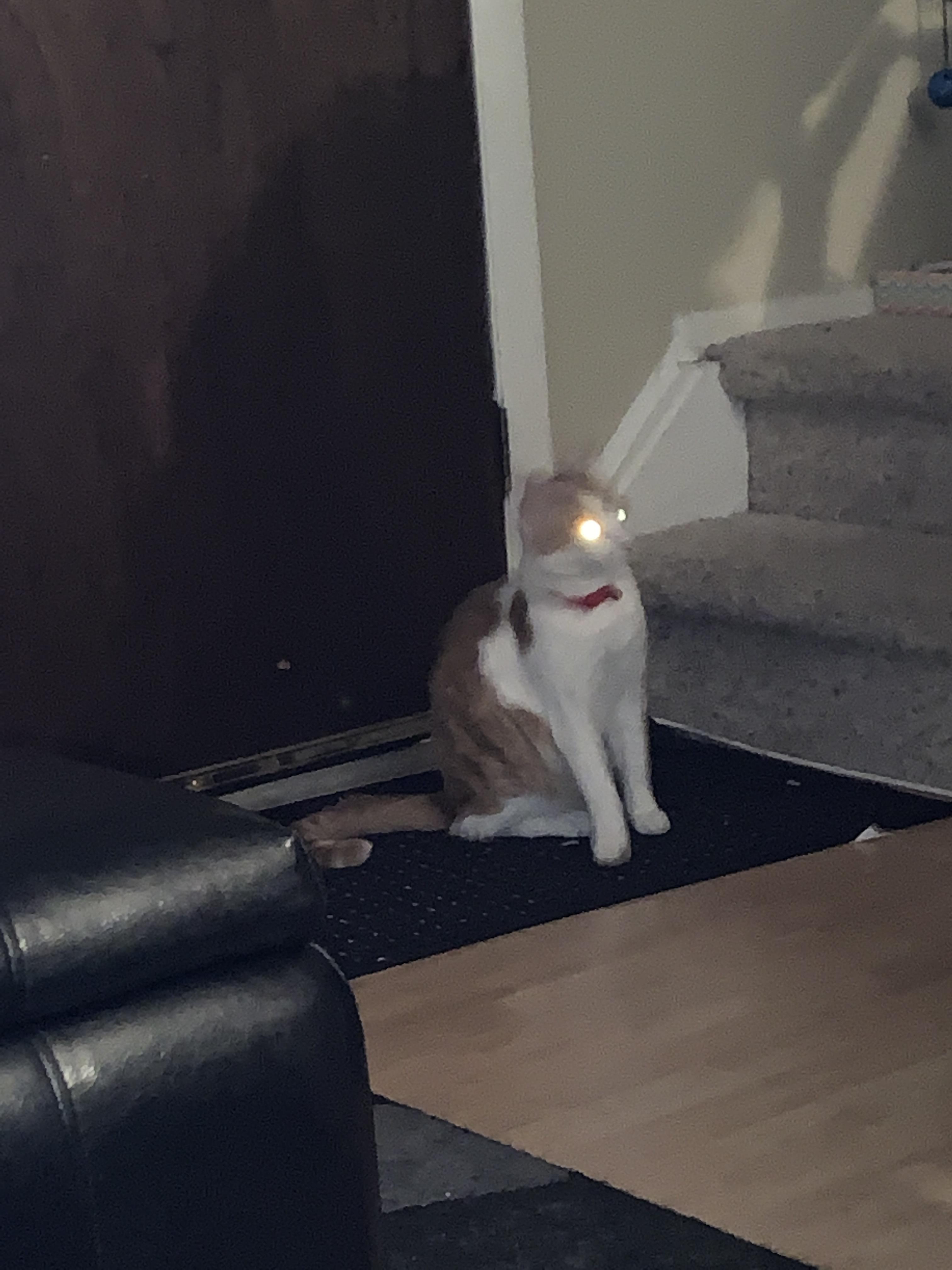 Charging to full power | Scrolller