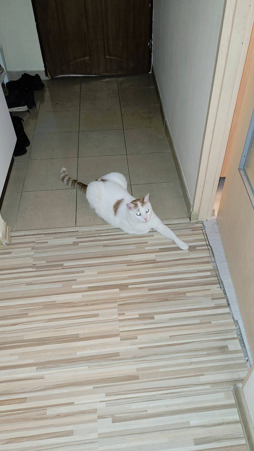 Charging up | Scrolller