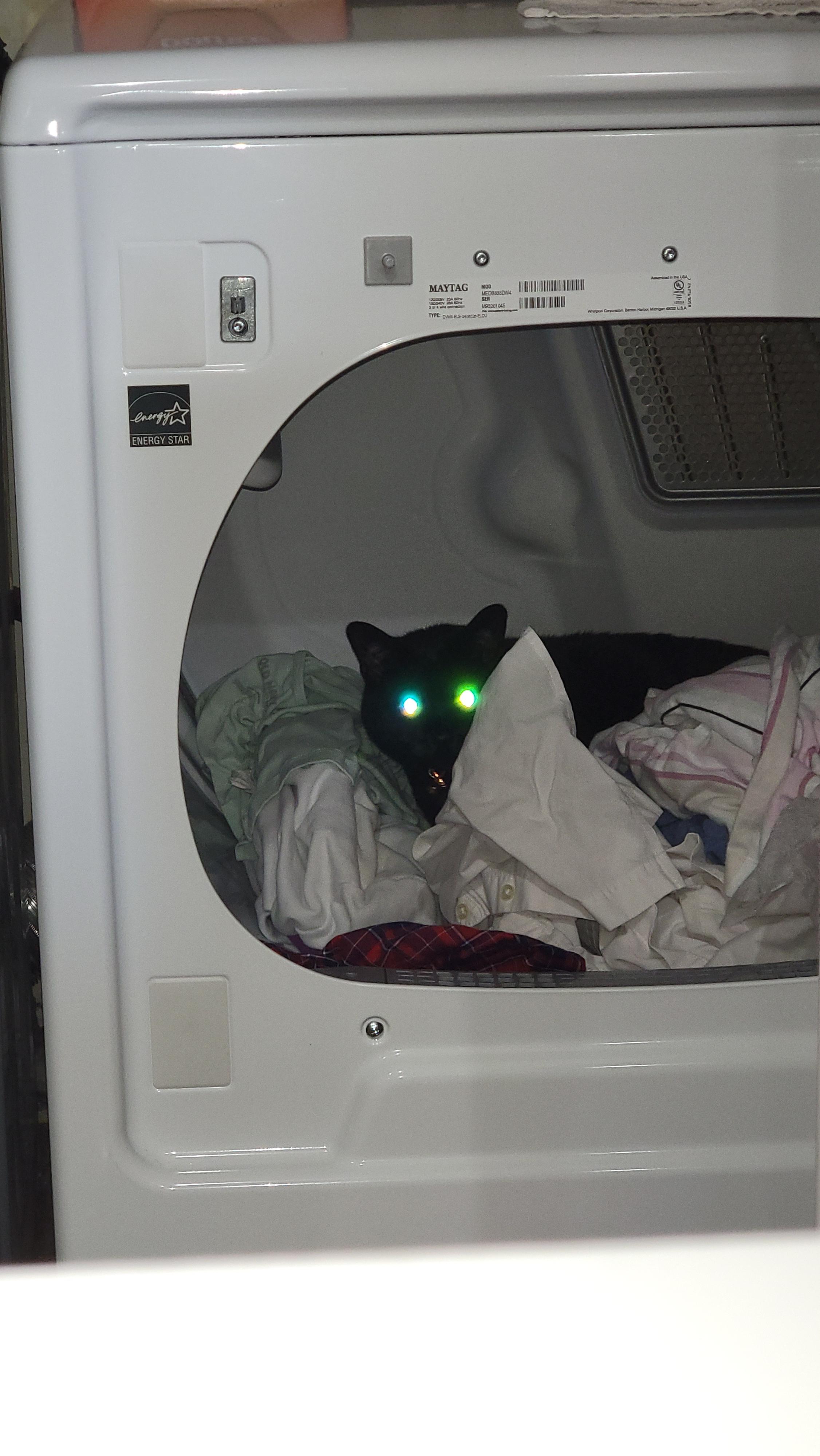Charging up in the dryer | Scrolller