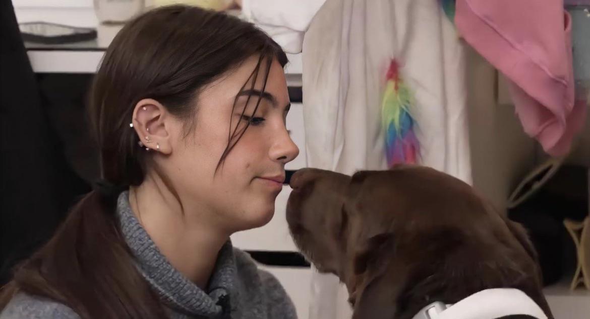 charli and rebel🥺 | Scrolller