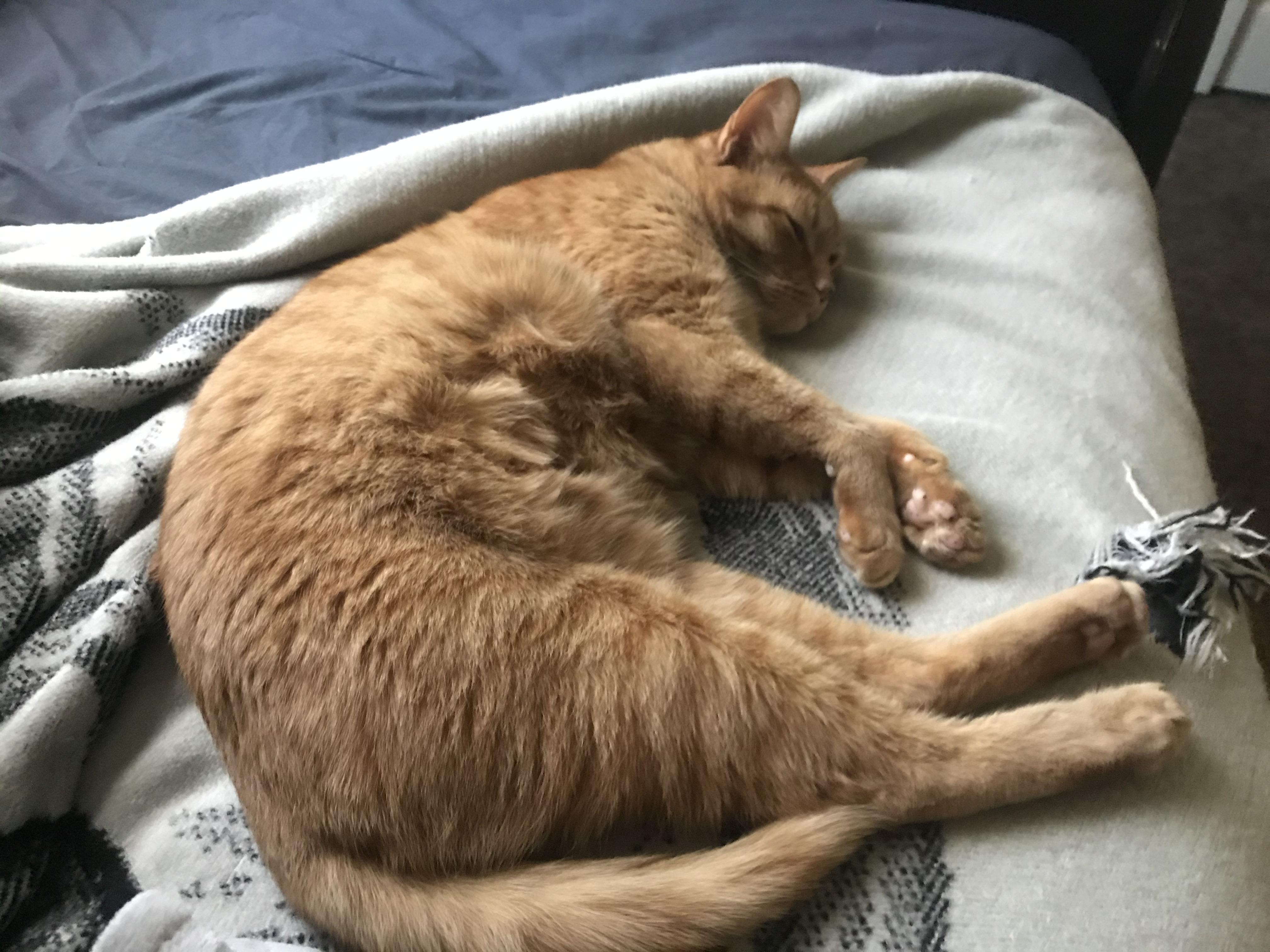 Circular long boi | Scrolller