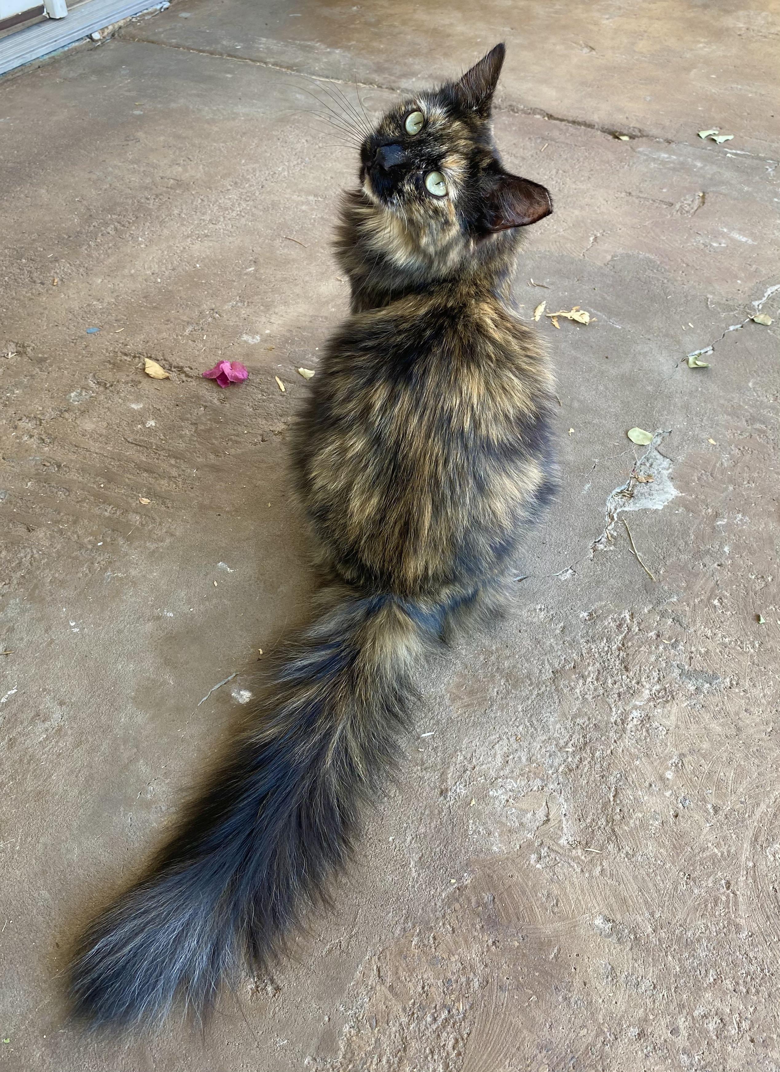 CJ showing off the bottlebrush | Scrolller