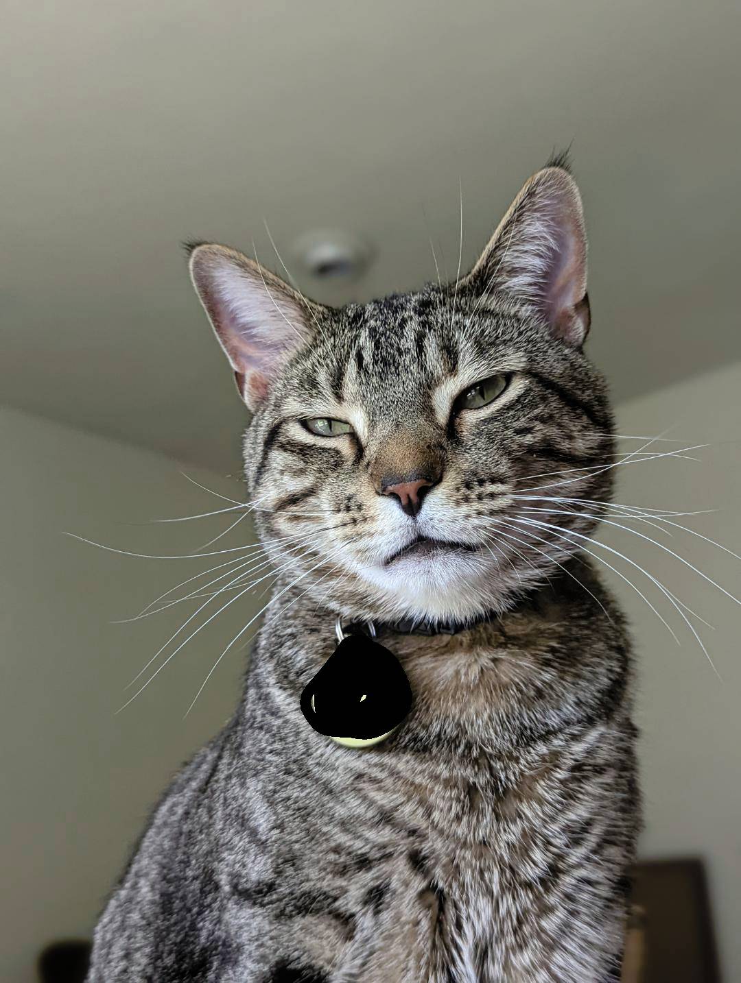 Colbert, Destroyer of Foam. | Scrolller