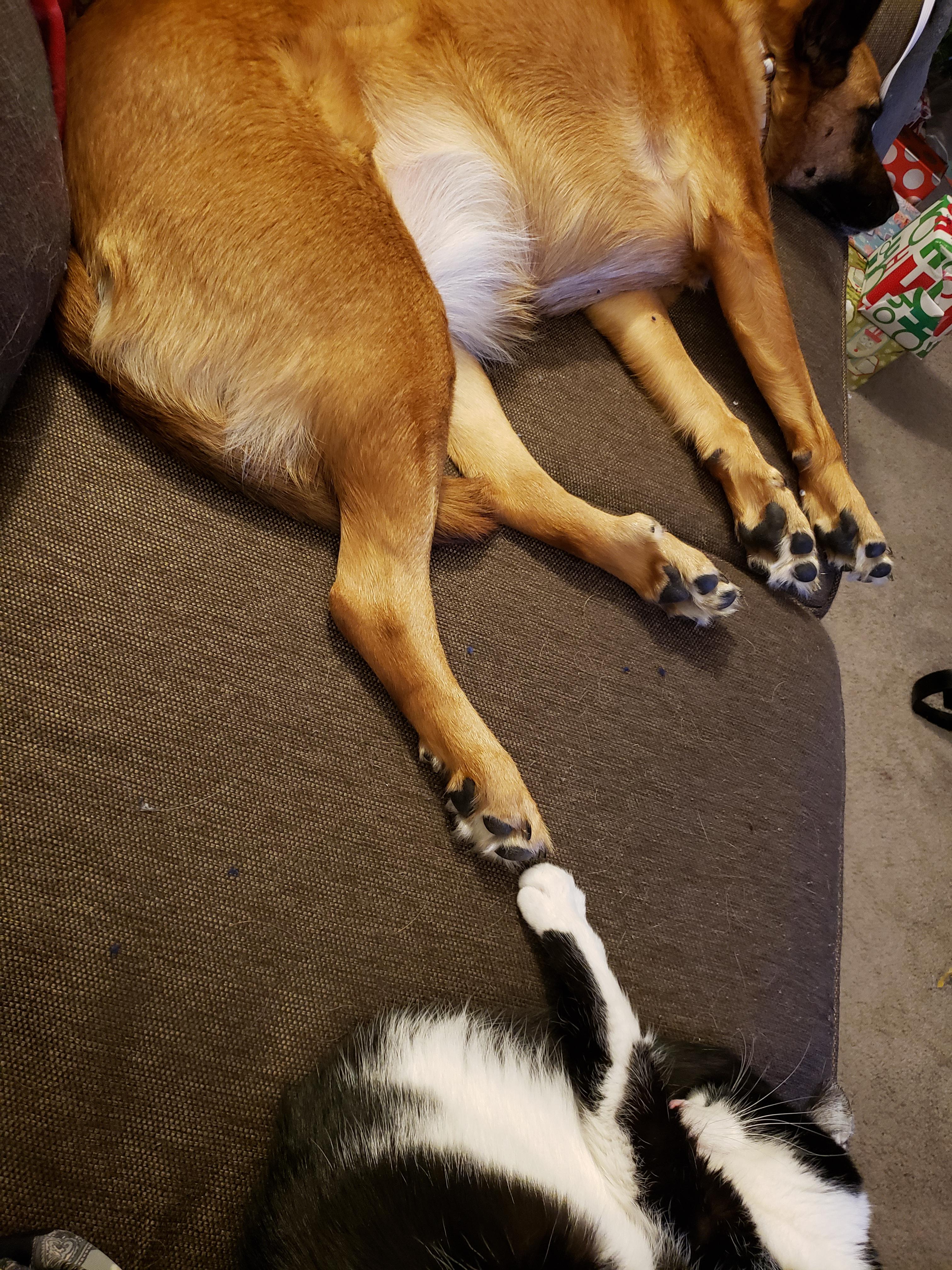 Creation of Adam feetsies. | Scrolller