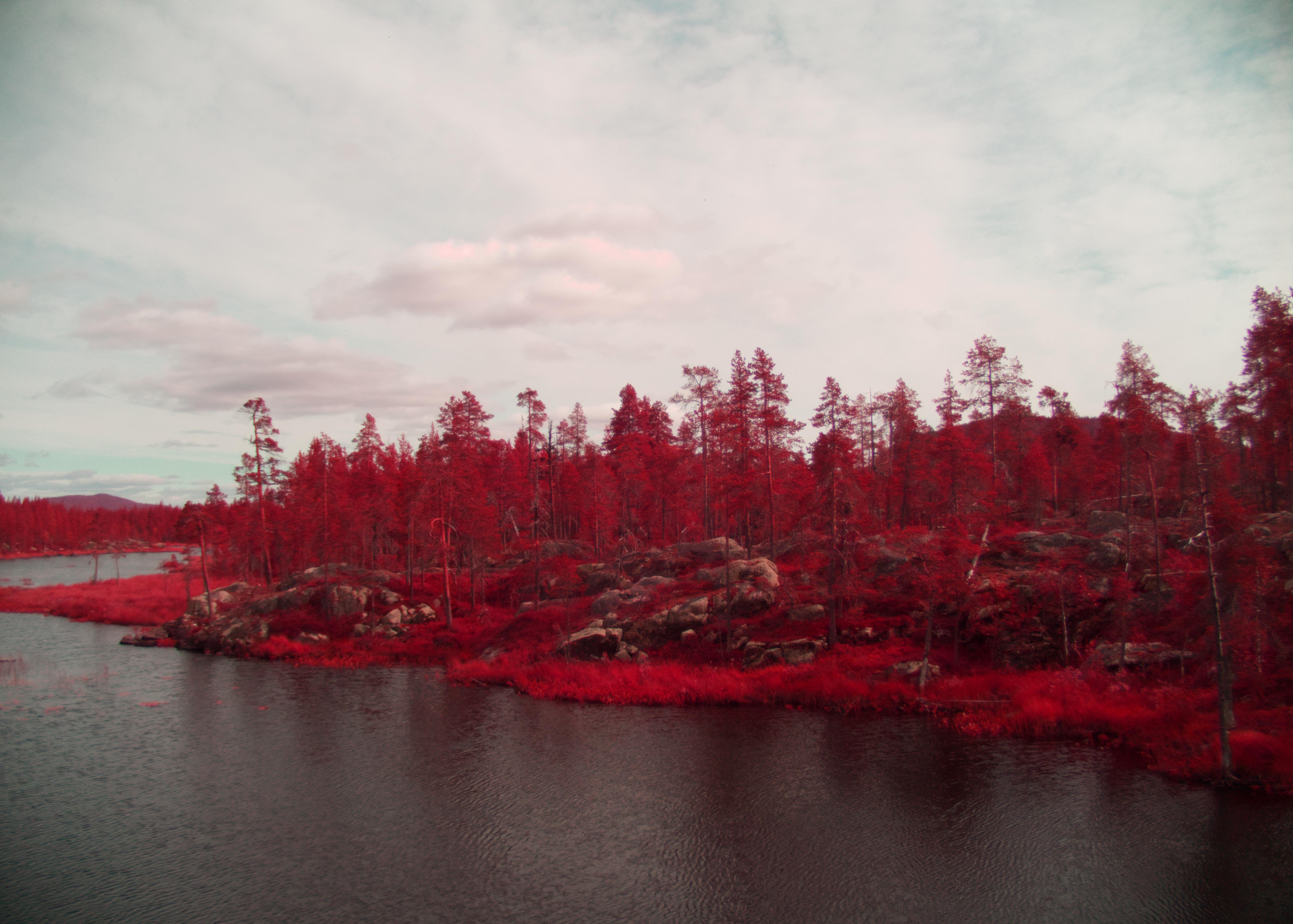 Crimson Calm | Scrolller