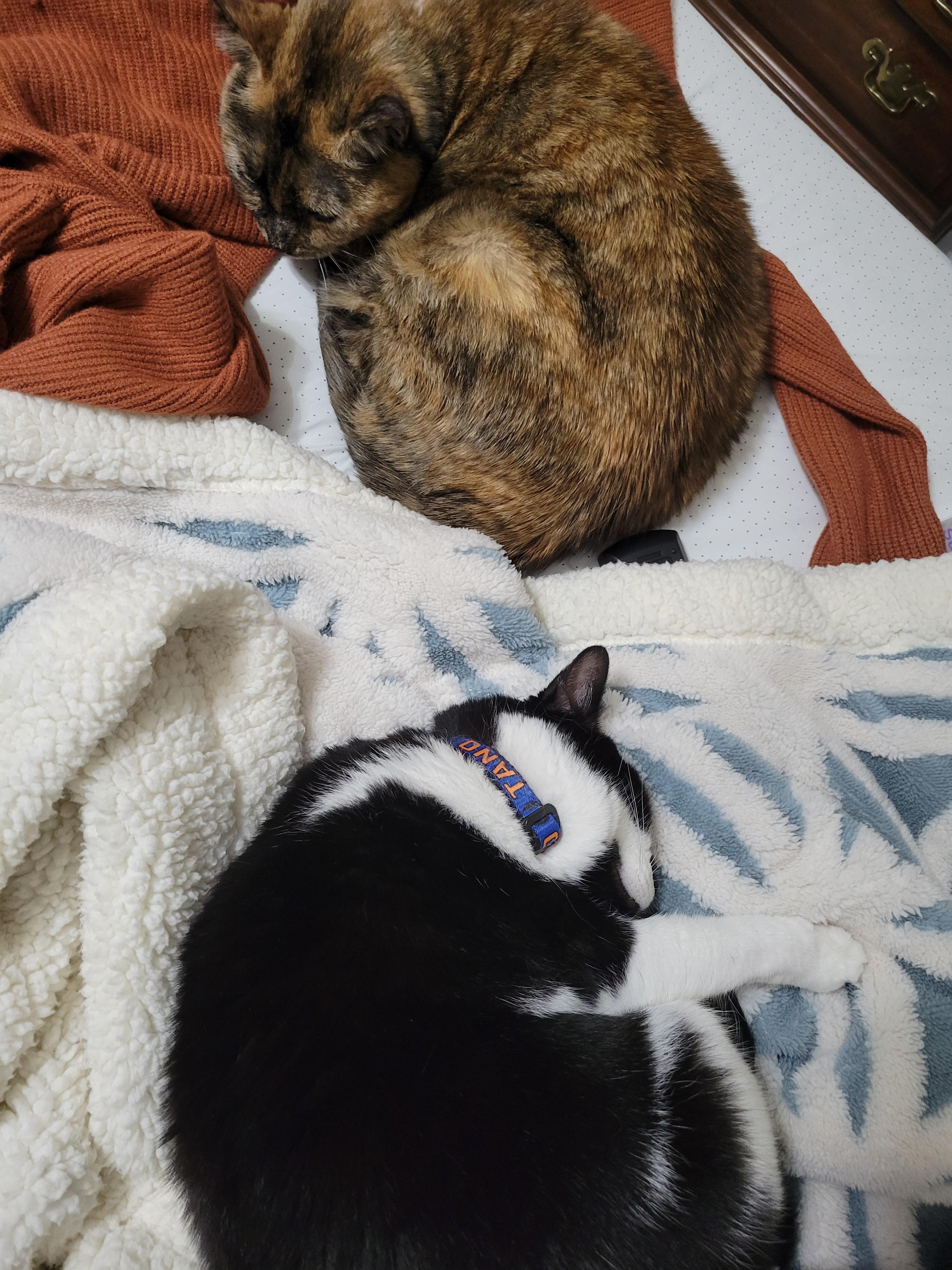 Cuddle bugs. | Scrolller