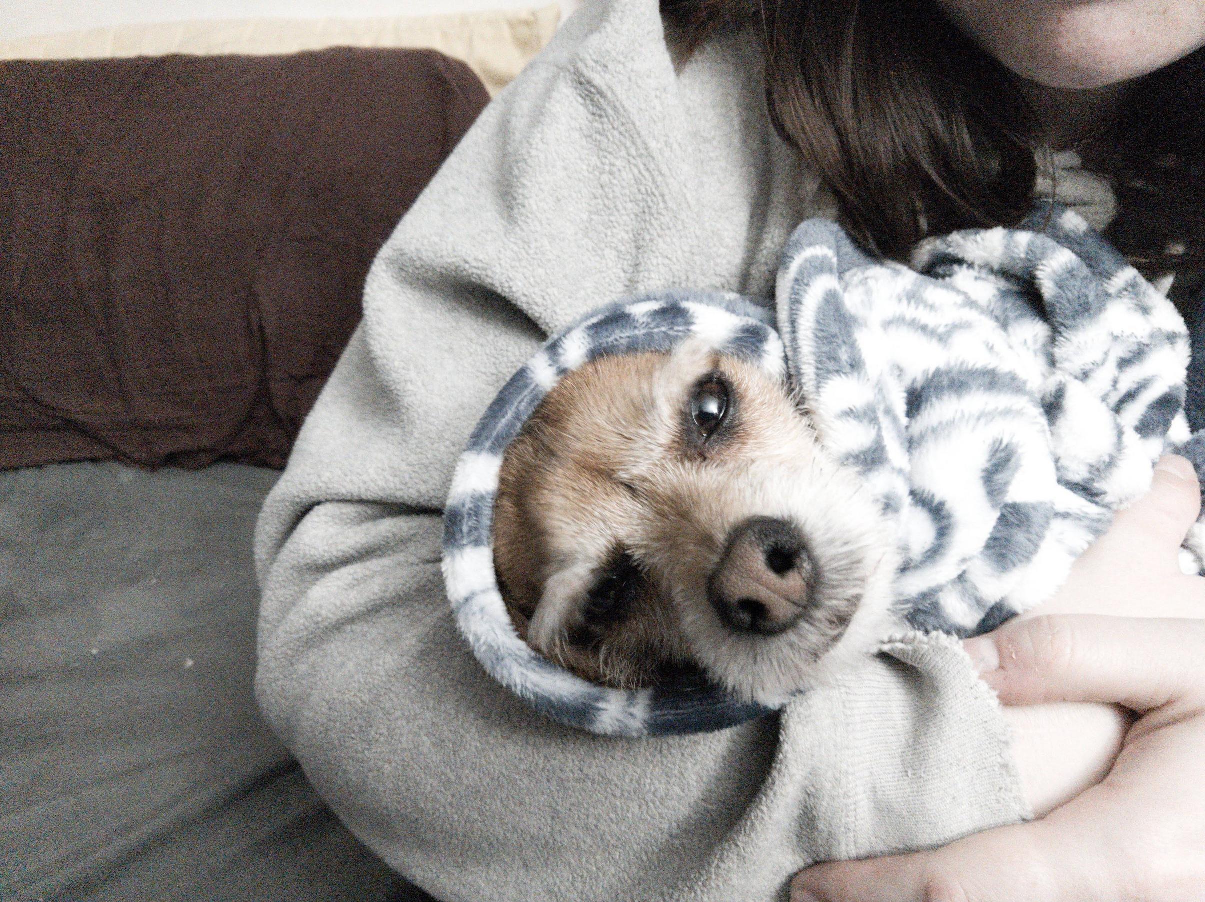 Cuddly babushka | Scrolller