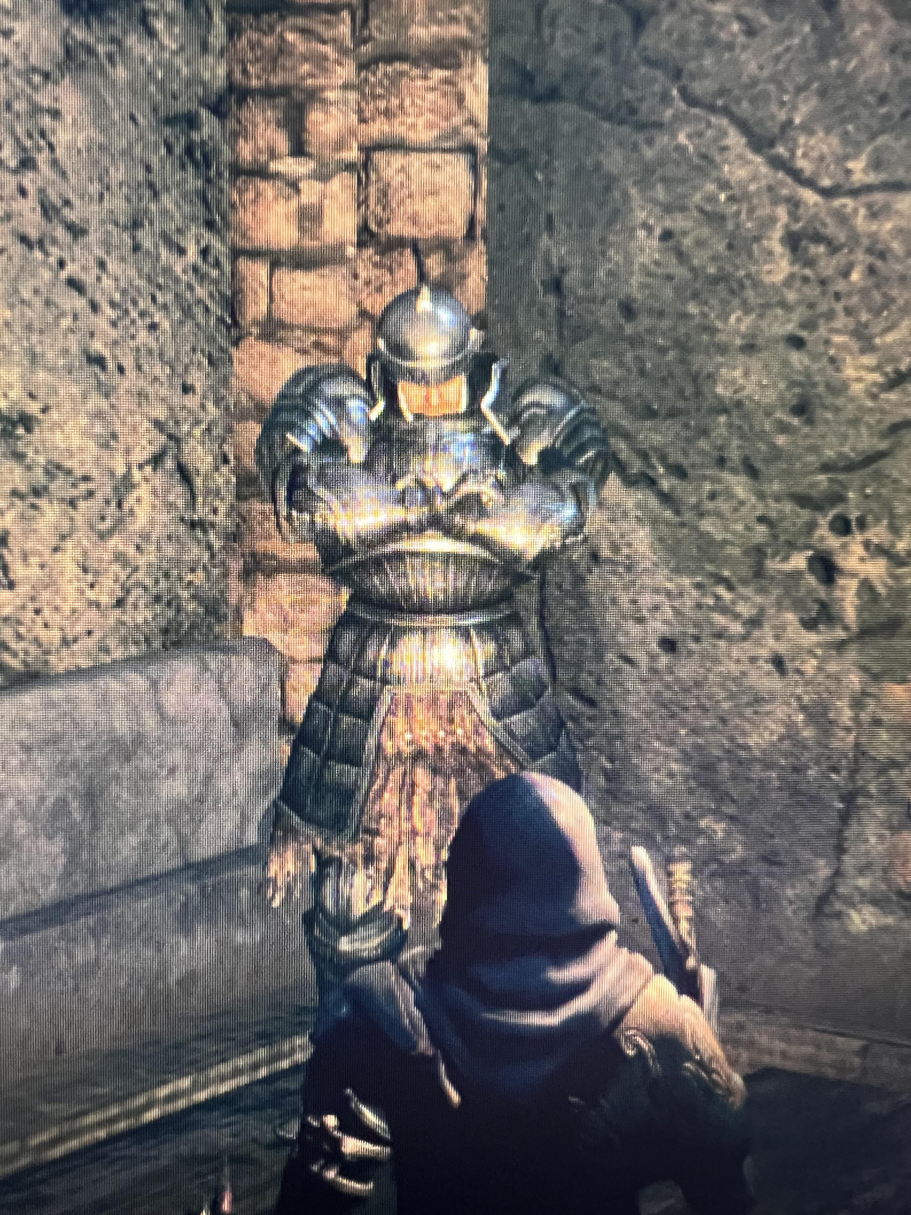 Curious? | Scrolller