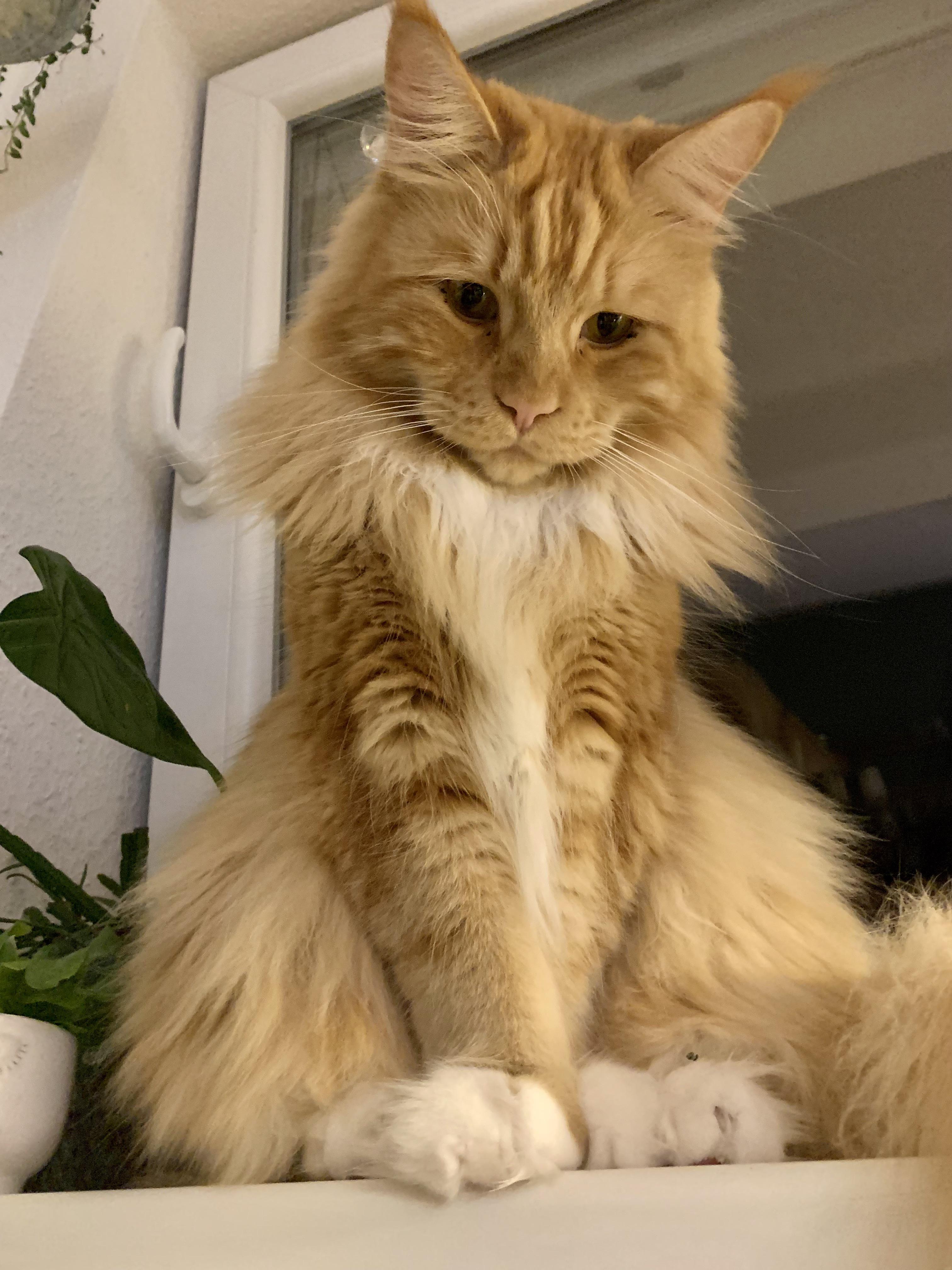 Curious peanuts | Scrolller