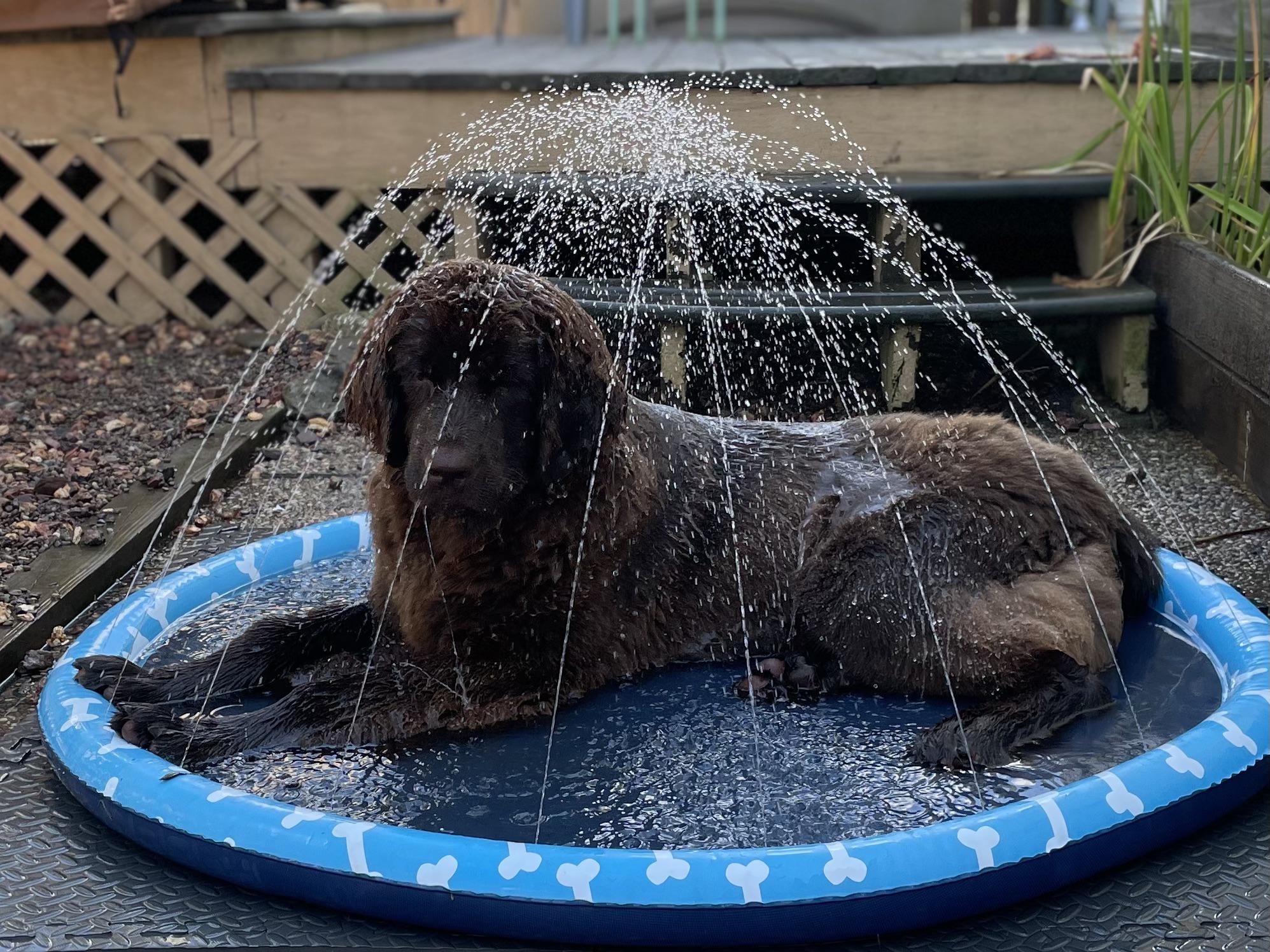 Current state, cooling off | Scrolller