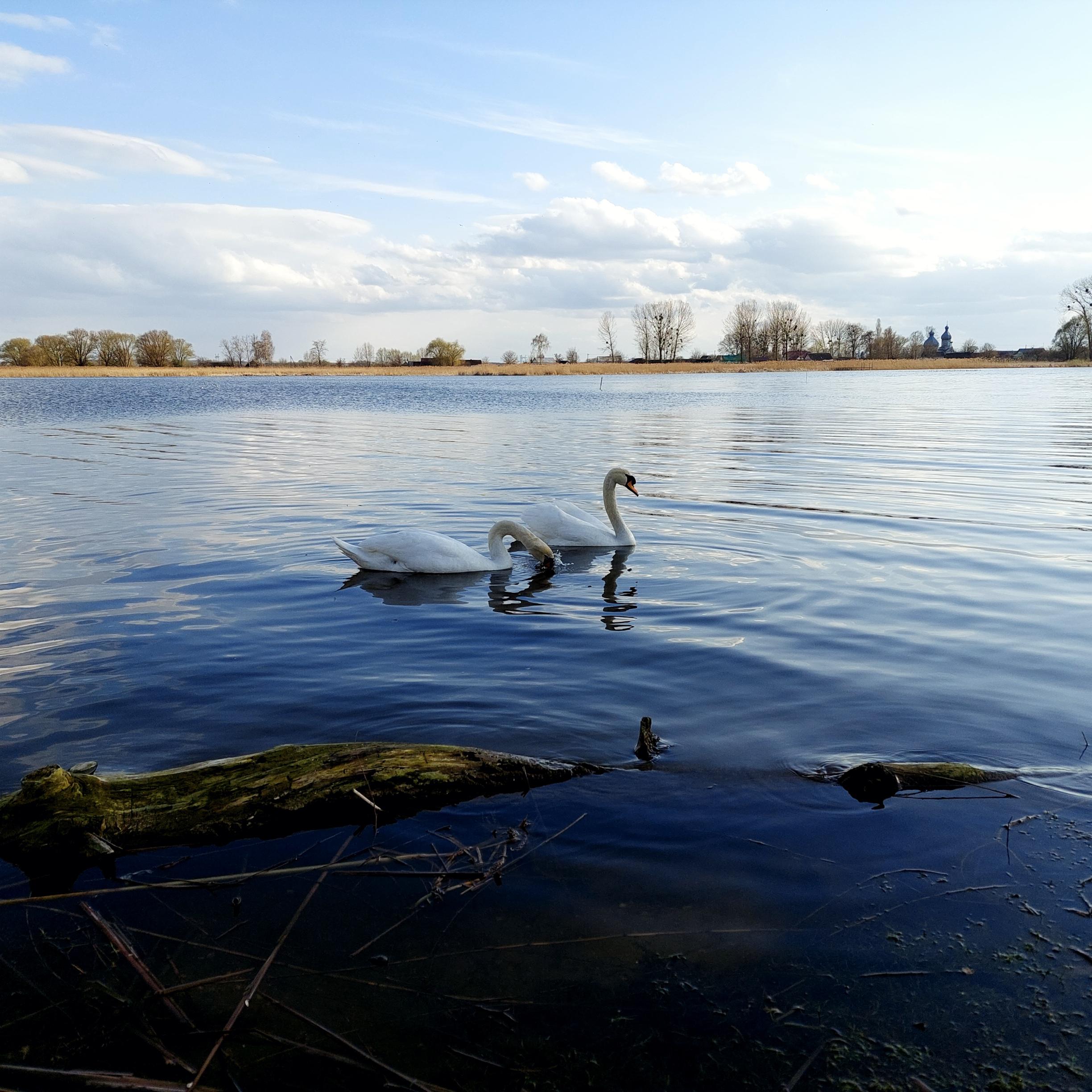 Cute couple | Scrolller