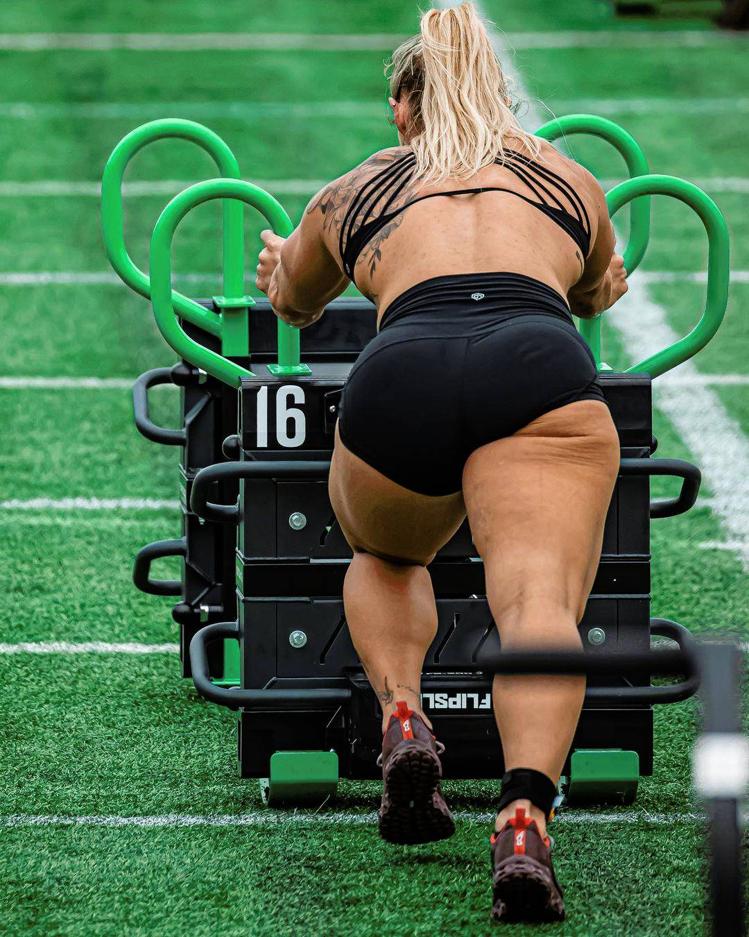 Dani Speegle | Scrolller