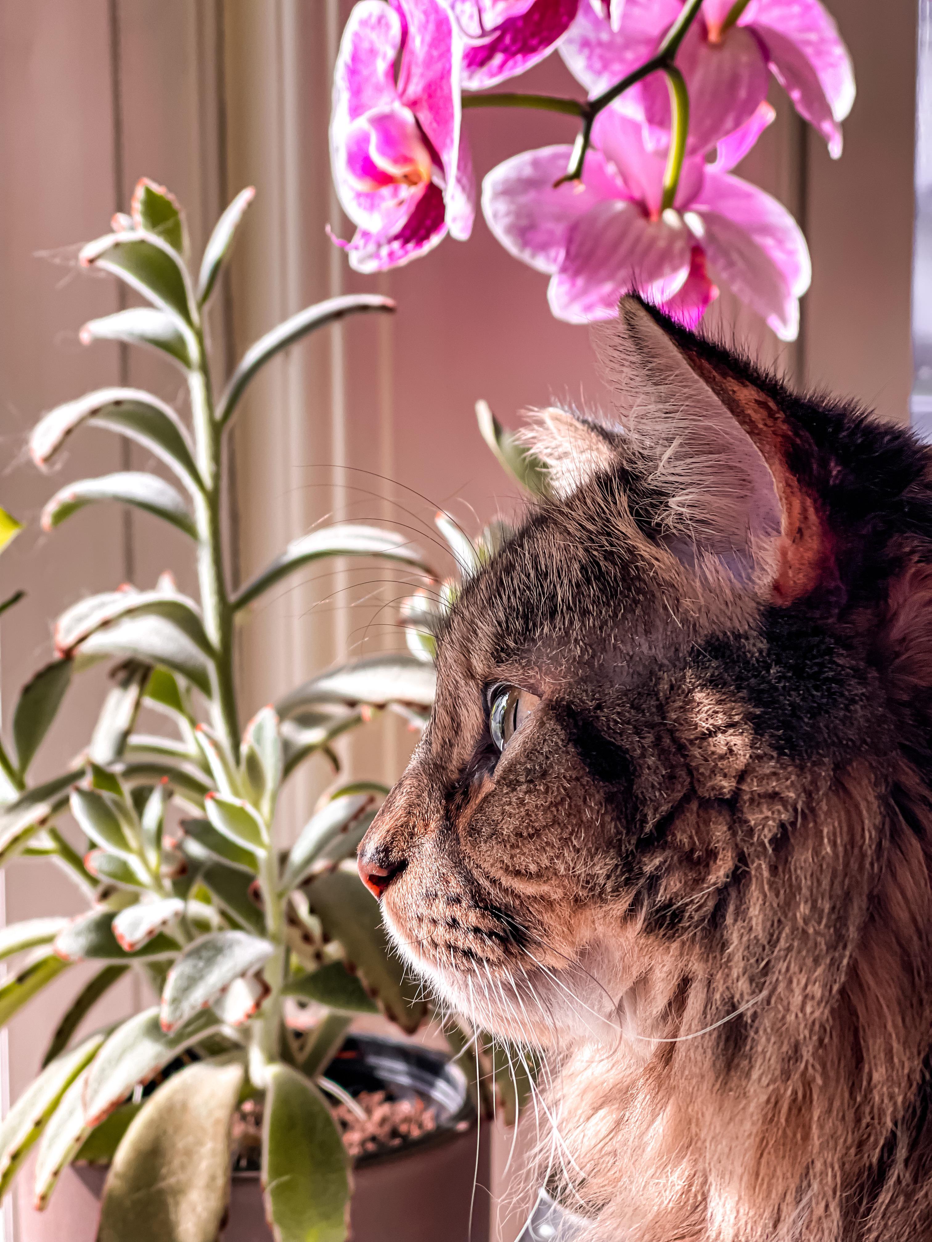 Deep in thought. | Scrolller