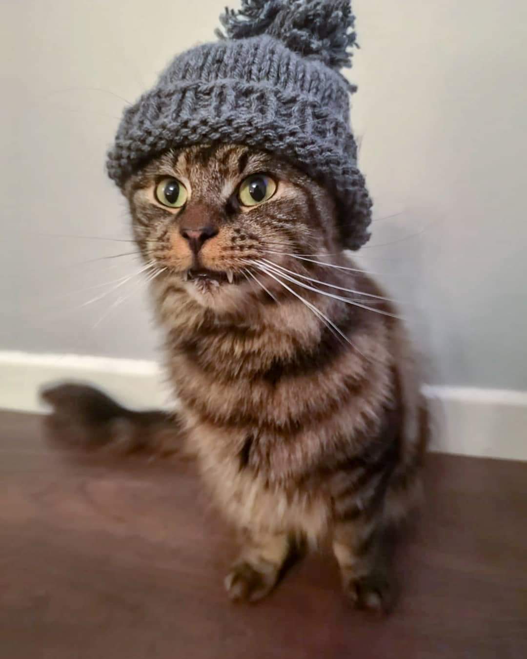 Dem cheeks doe😍 | Scrolller