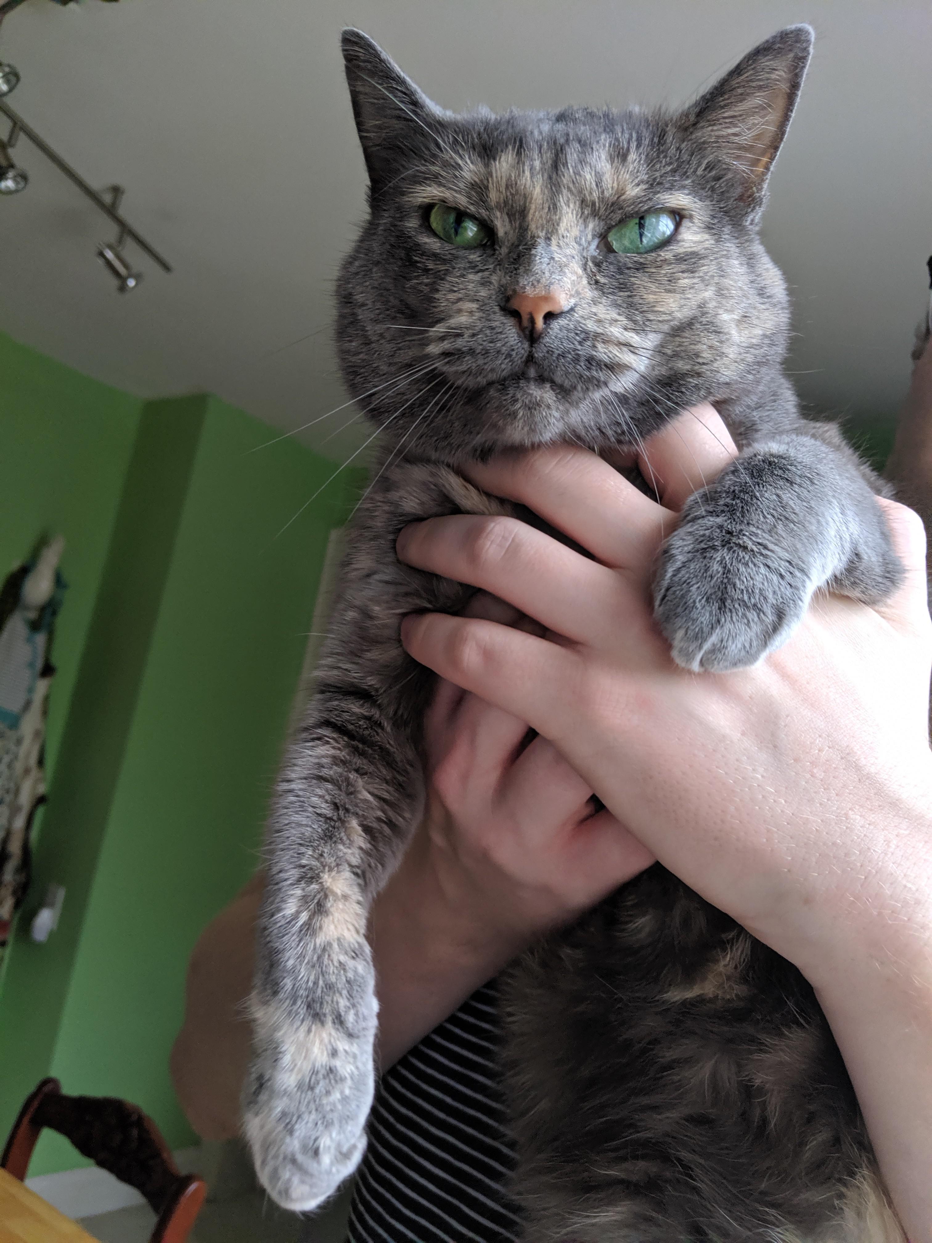 Disgruntled peanuts | Scrolller