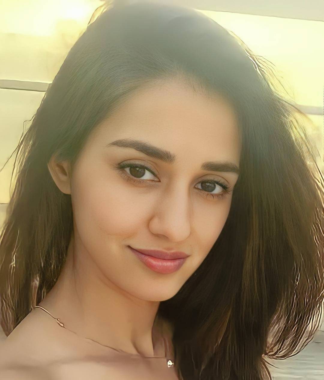 disha patani | Scrolller